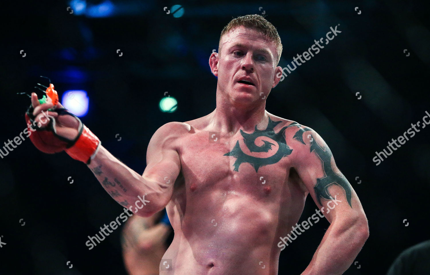 Ian Cleary Vs George Courtney Ian Editorial Stock Photo - Stock Image ...