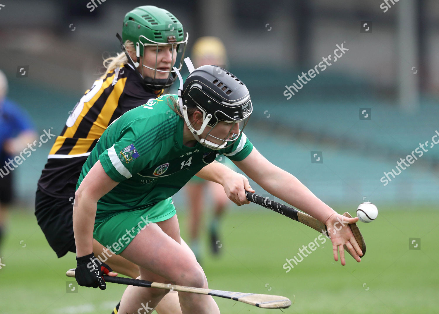 Limerick Vs Kilkenny Limericks Caoimhe Costello Editorial Stock Photo ...