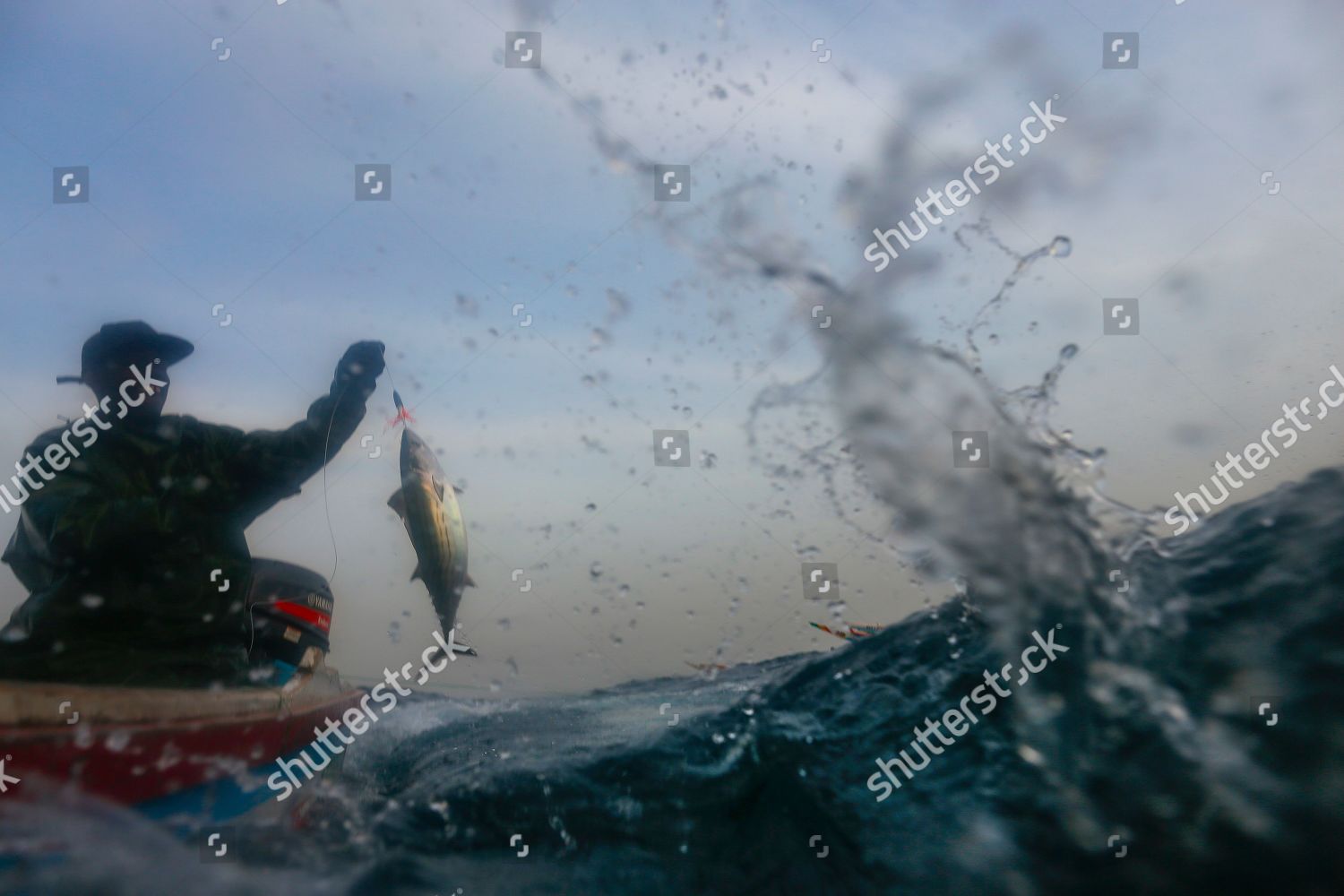 Senegalese Fisherman Modu Samba Catches Fish Editorial Stock Photo ...