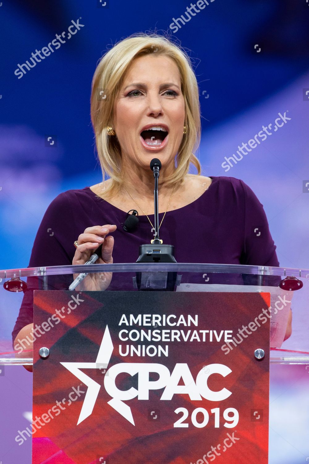 Us Conservative Television Radio Talk Show Editorial Stock Photo ...