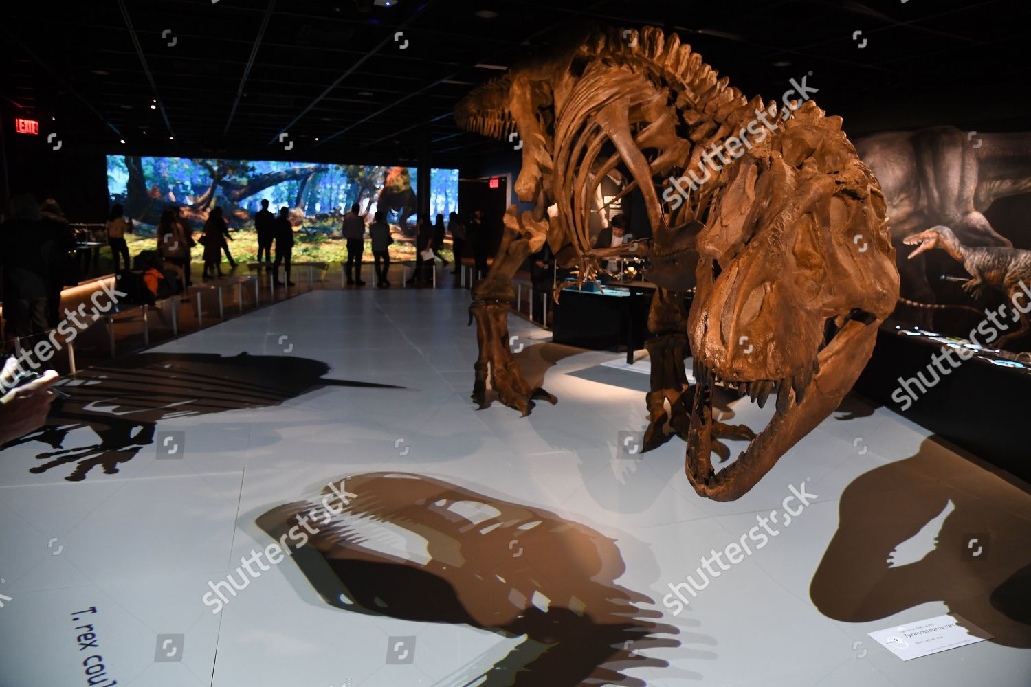 Media Preview T Rex Ultimate Predator Editorial Stock Photo - Stock ...