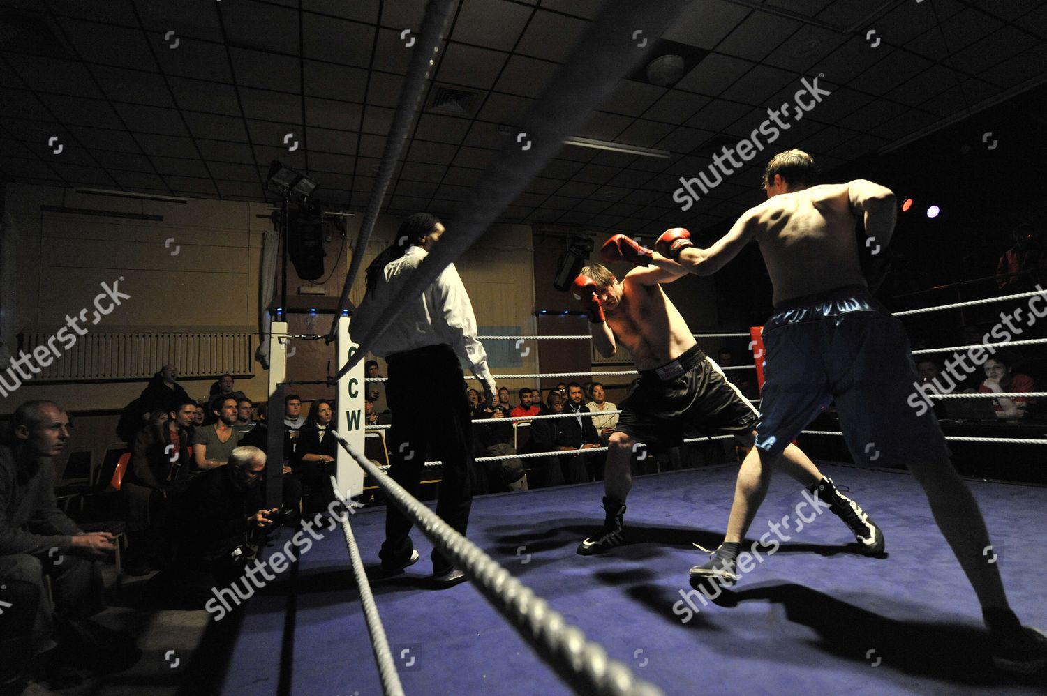Chess Boxers Tim Woolgar Matt Crazy Editorial Stock Photo - Stock Image ...