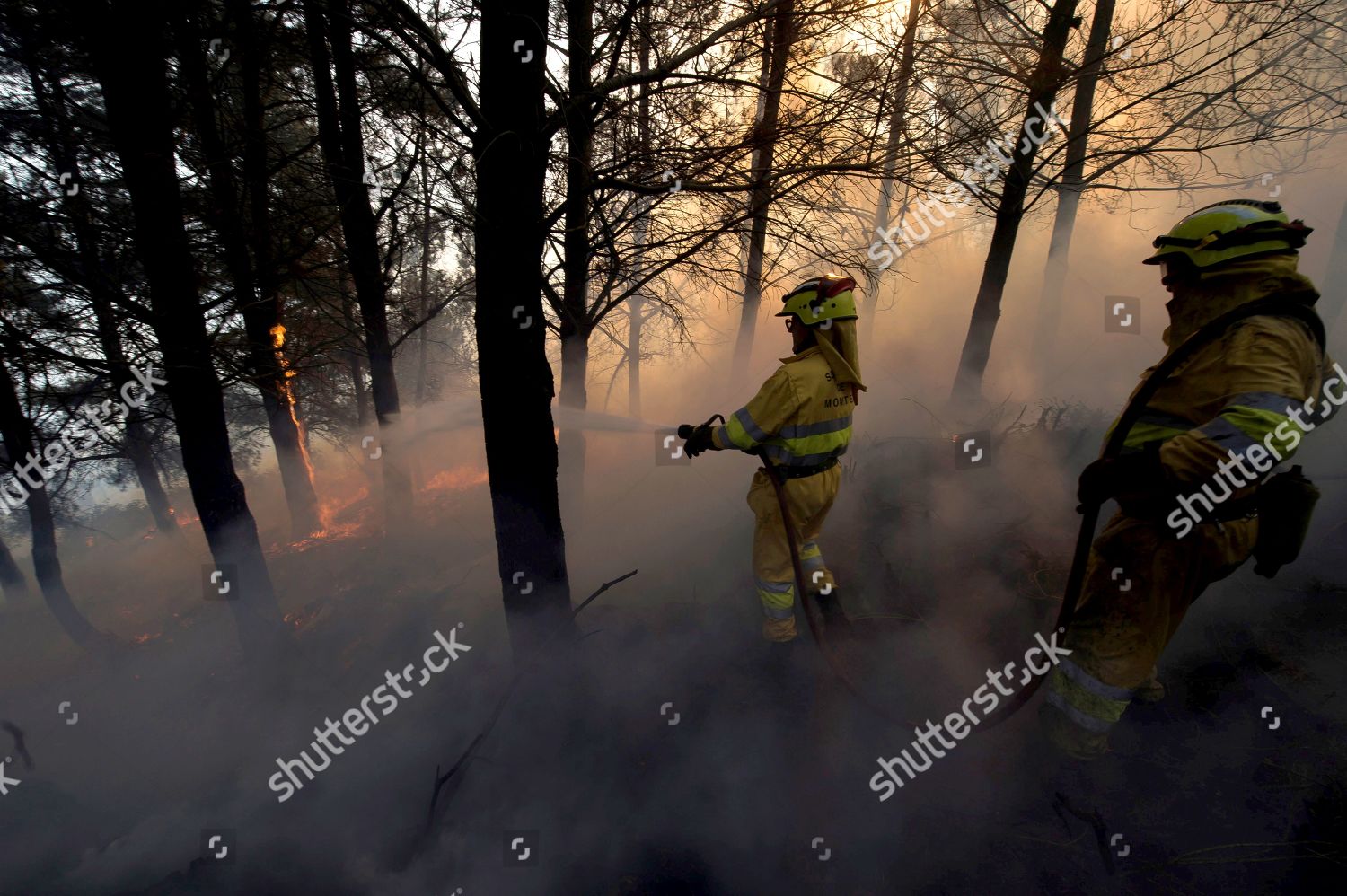 Firefighters Try Extinguish Forest Fire Hill Editorial Stock Photo ...