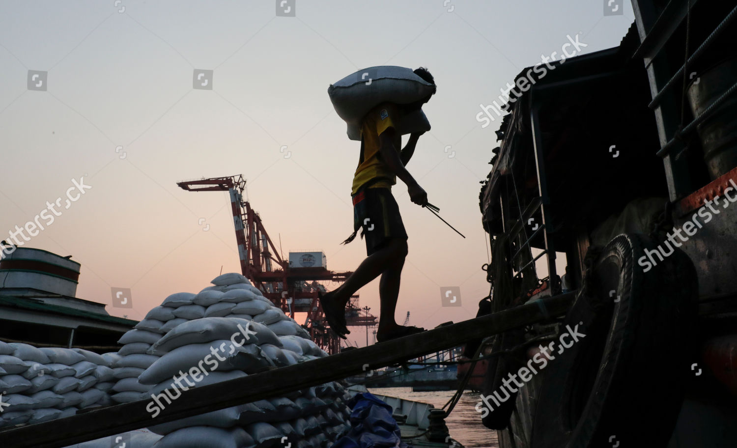 Myanmar Worker Carries Bags Rice On Editorial Stock Photo - Stock Image ...