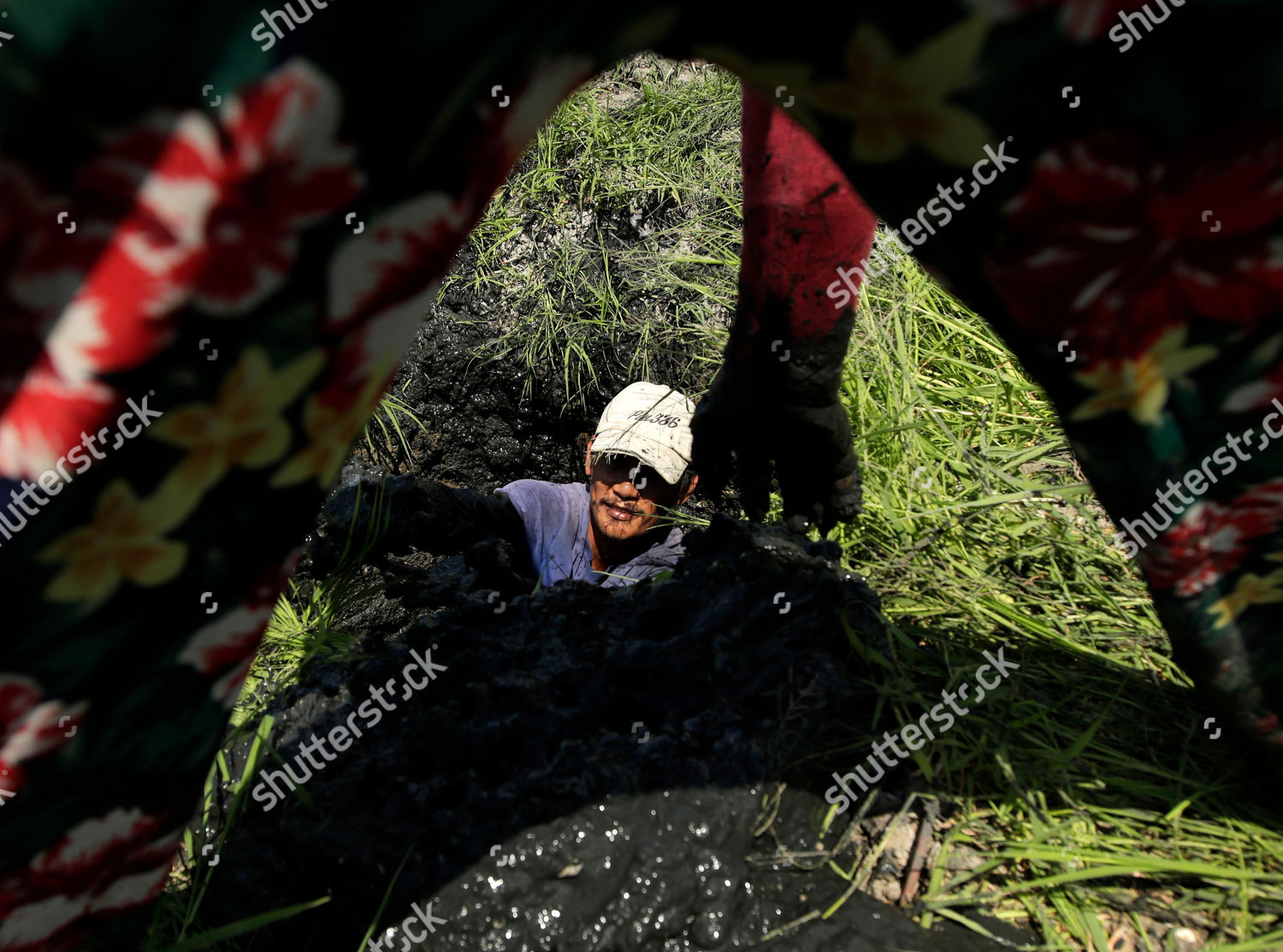 Filipino Farmers Dig Hole Ground Find Editorial Stock Photo - Stock ...
