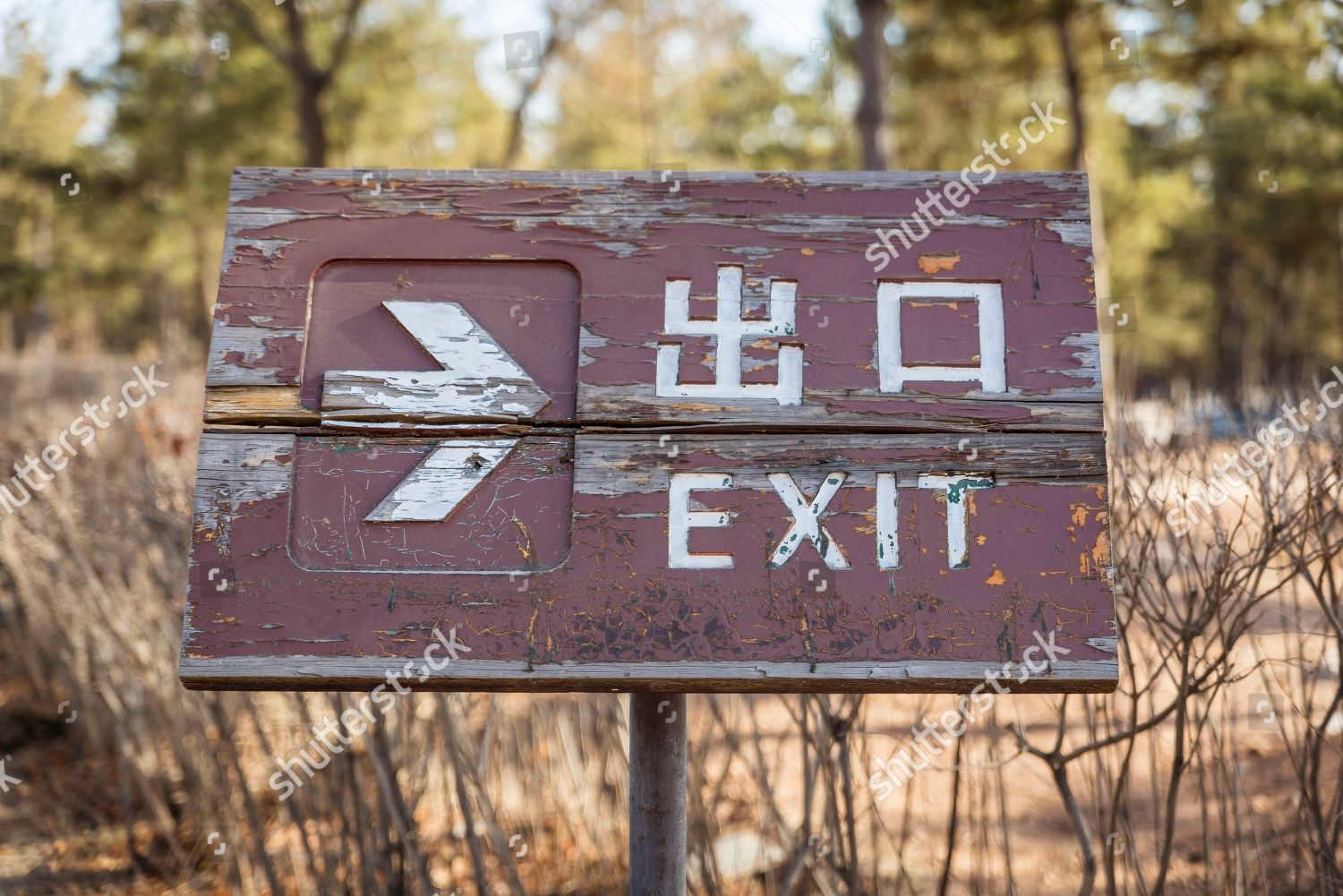Exit Sign Yungang Grottoes Ancient Chinese Editorial Stock Photo ...