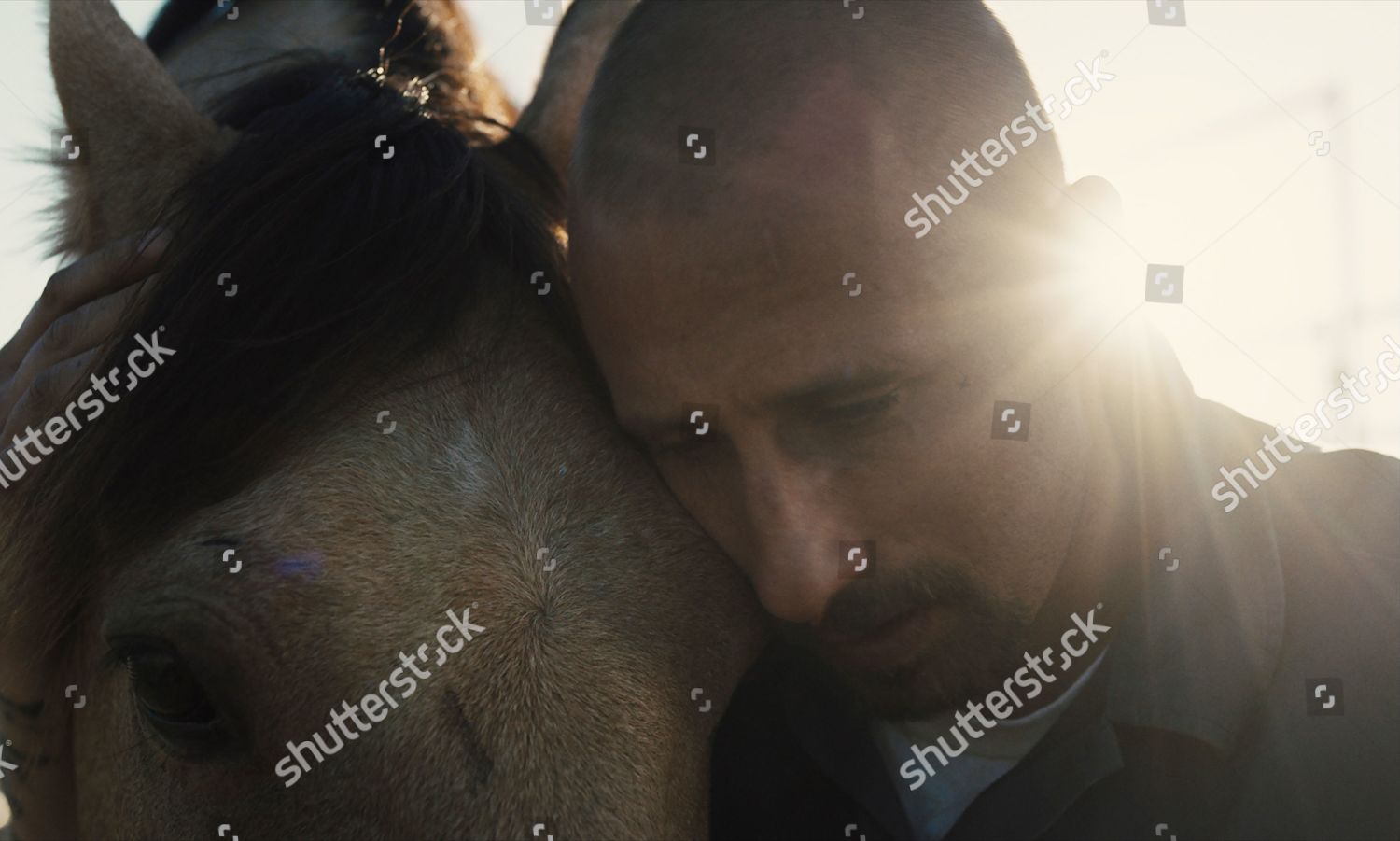 Matthias Schoenaerts Roman Coleman Editorial Stock Photo - Stock Image ...