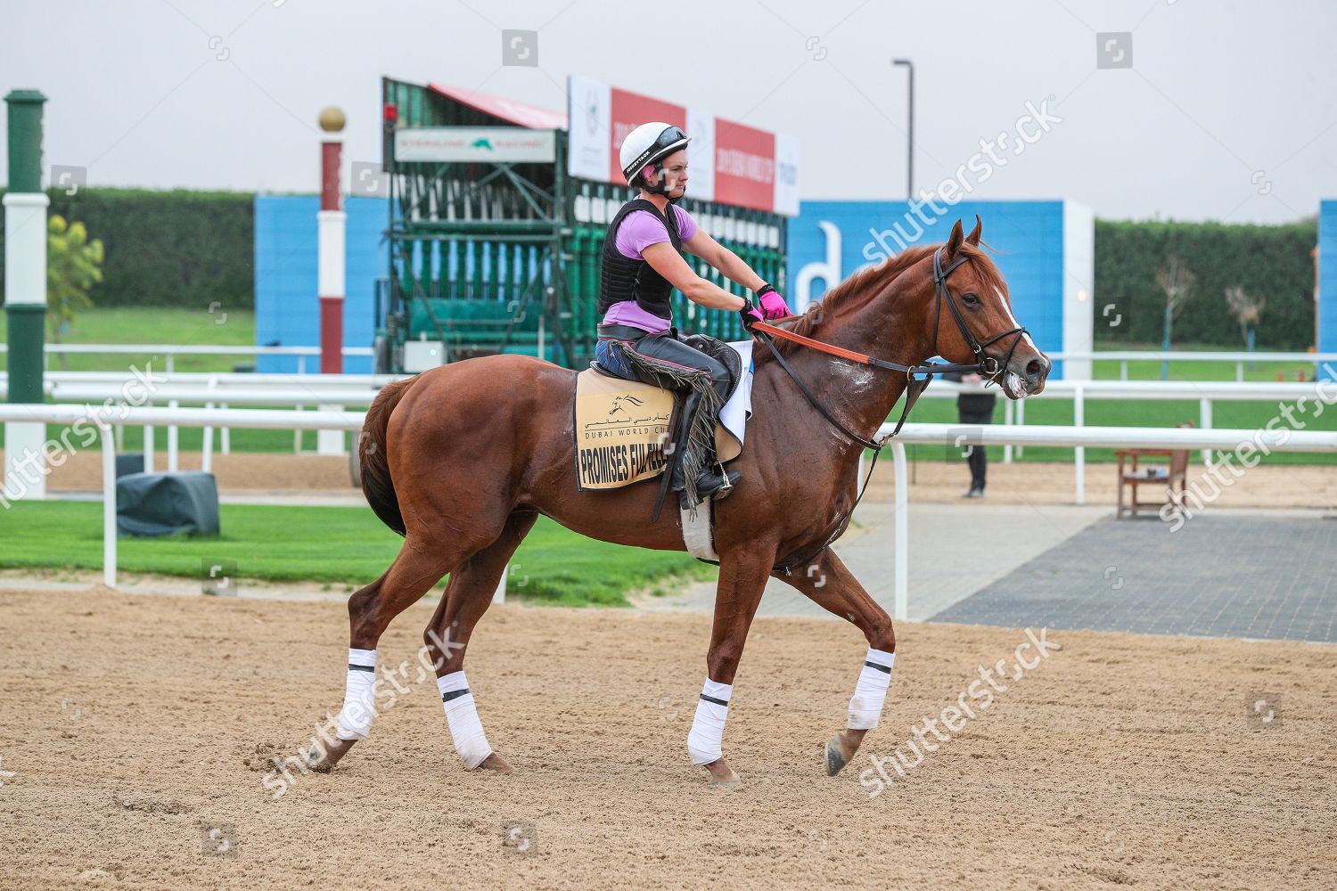 Promises Fullfilled Usa Exercising Morning Trackwork Editorial Stock ...