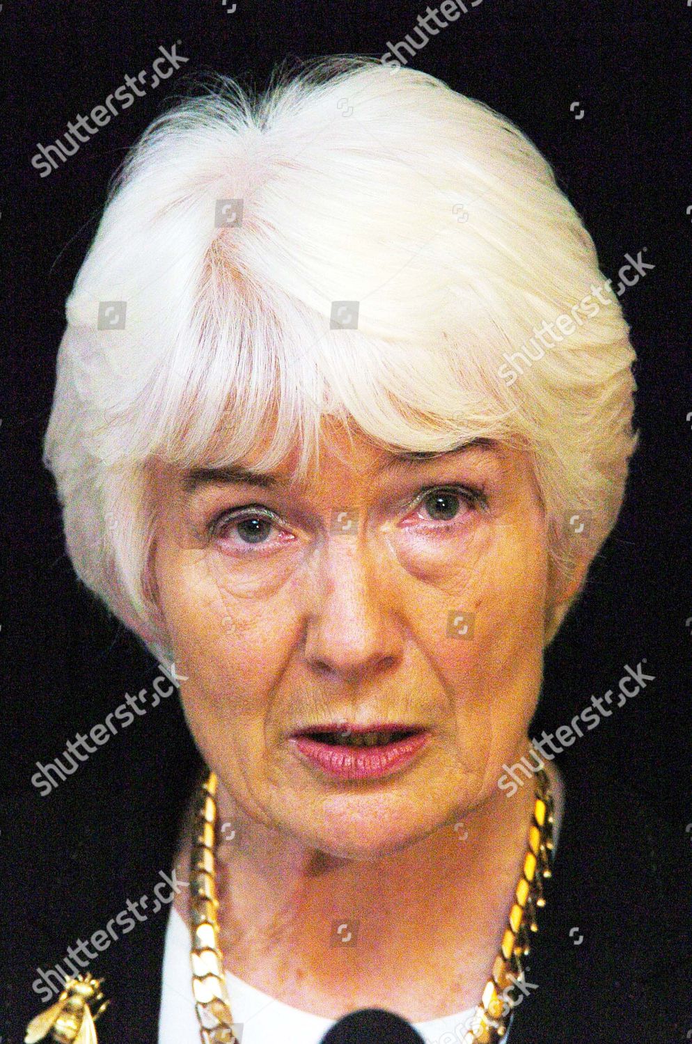 Dame Janet Smith Gives Summary Final Editorial Stock Photo - Stock ...