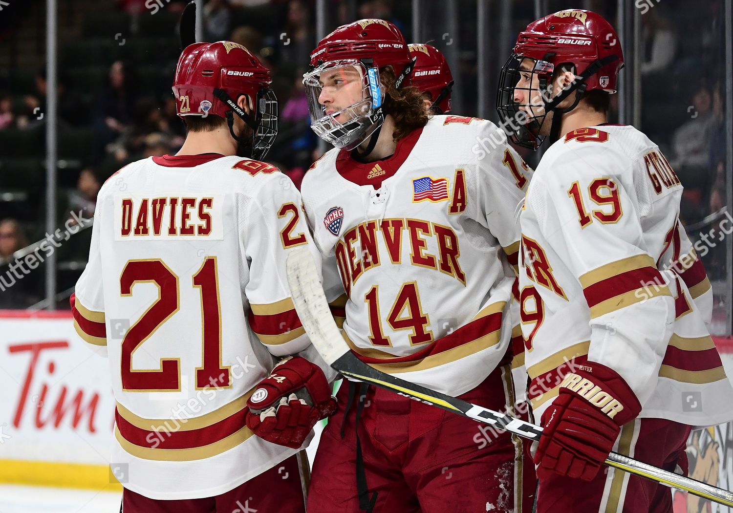 Denver Players Congratulate Denver Pioneers Forward Editorial Stock ...