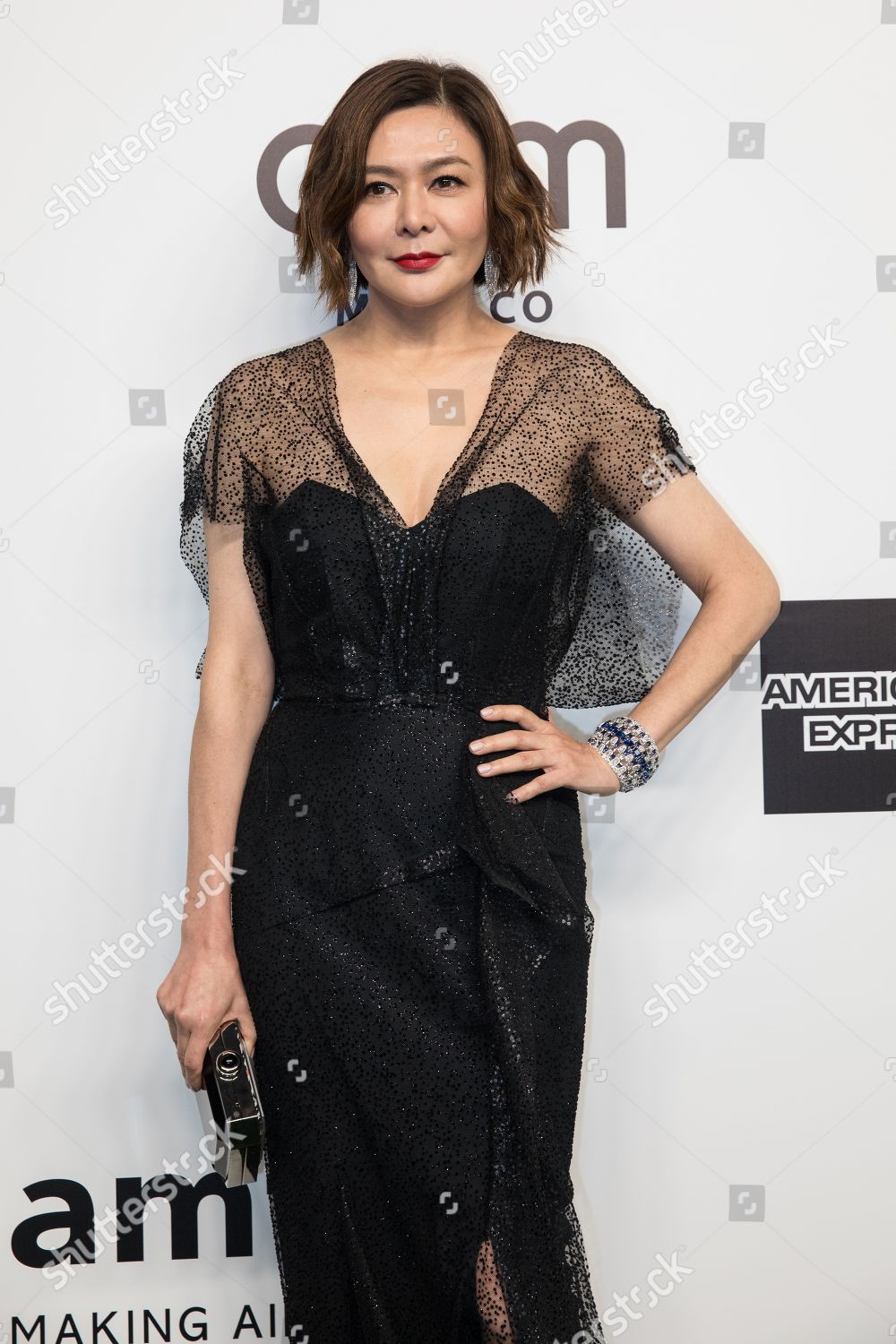 Hong Kong Actress Rosamund Kwan Arrives Editorial Stock Photo - Stock ...