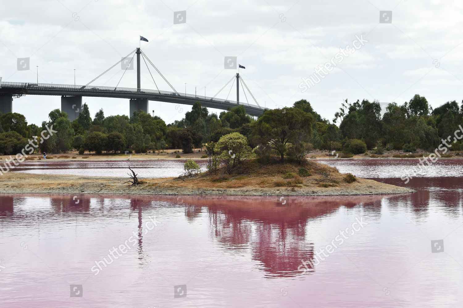 Westgate Bridge Seen Westgate Park Melbourne Editorial Stock Photo ...
