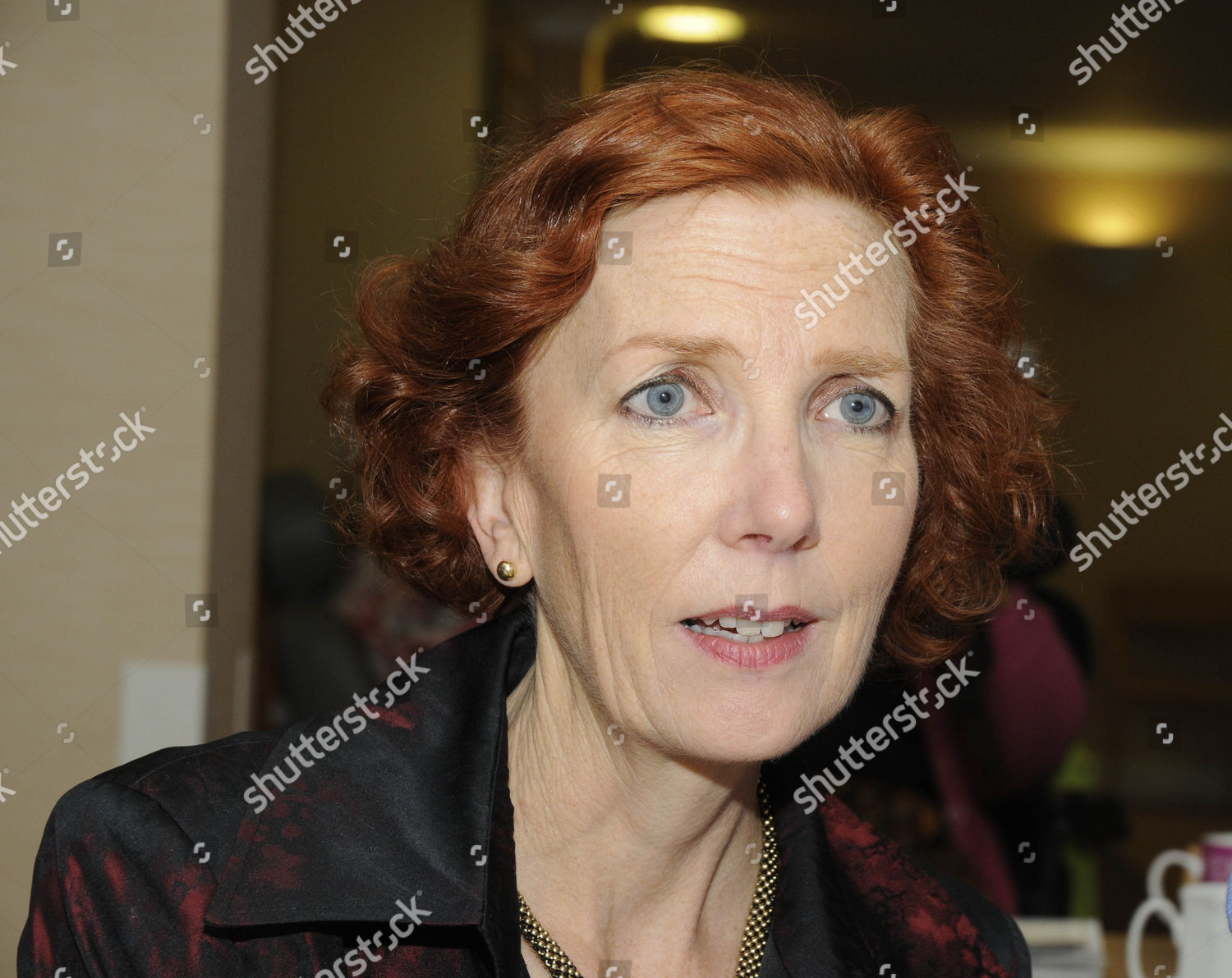 Baroness Janet Royall Editorial Stock Photo - Stock Image | Shutterstock