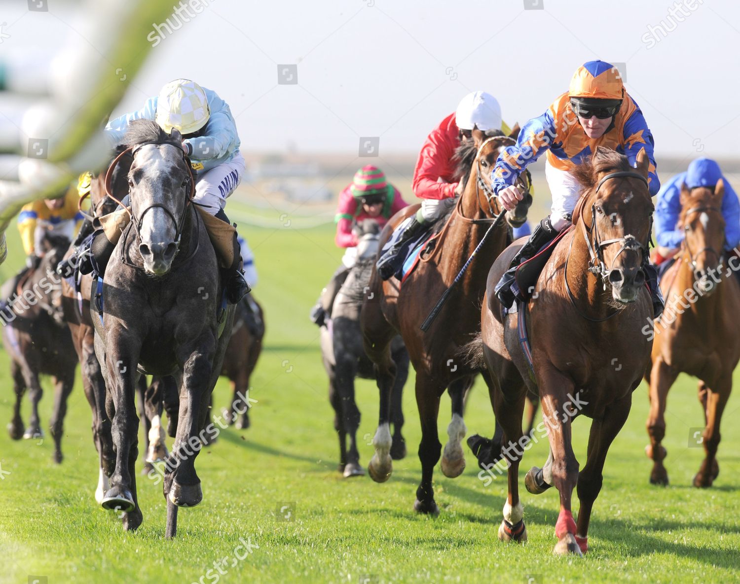 Thurlow Nunn Standen Darley Stakes R Editorial Stock Photo - Stock ...