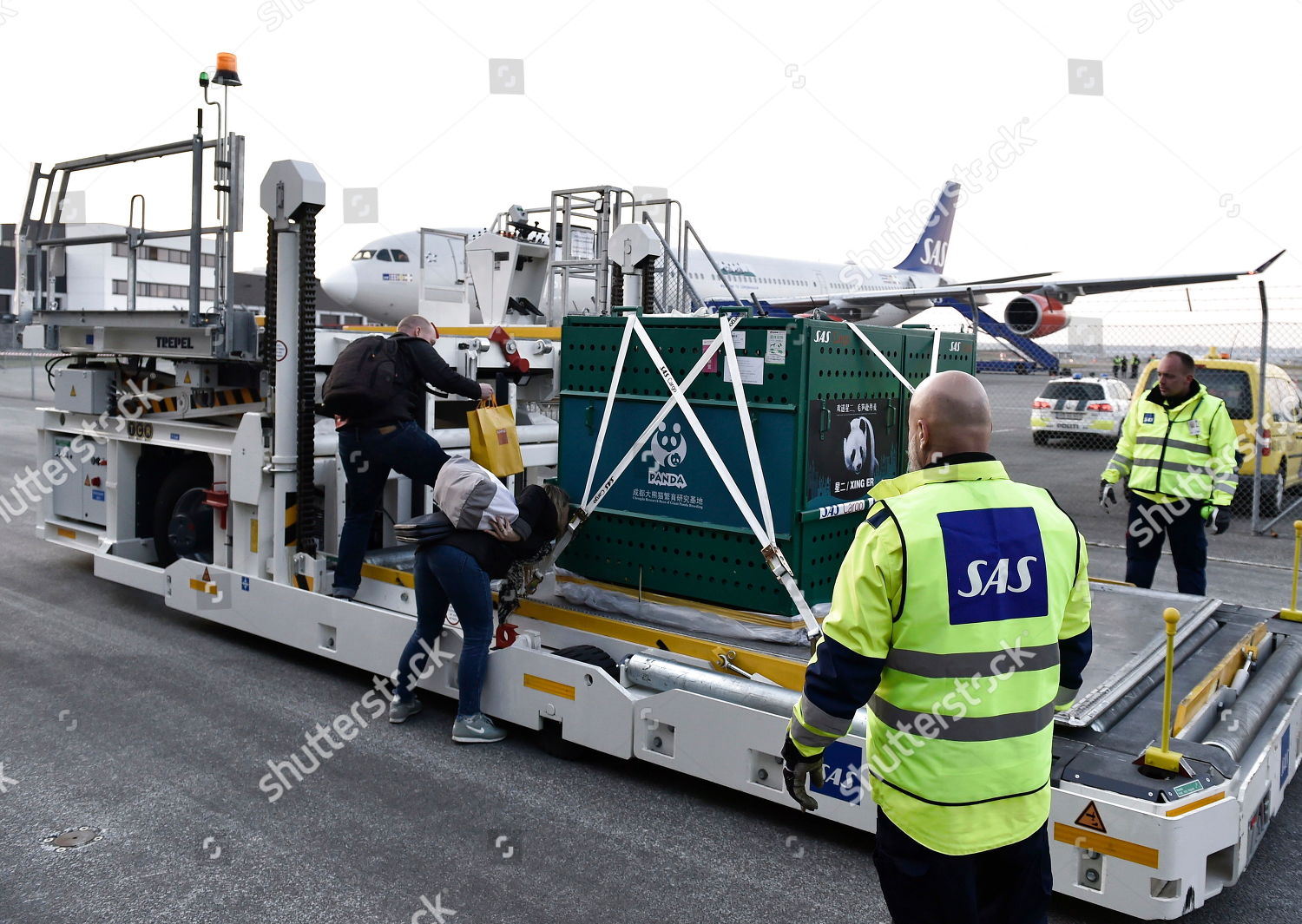 Boxes Carrying Two Giant Pandas Named Editorial Stock Photo - Stock ...