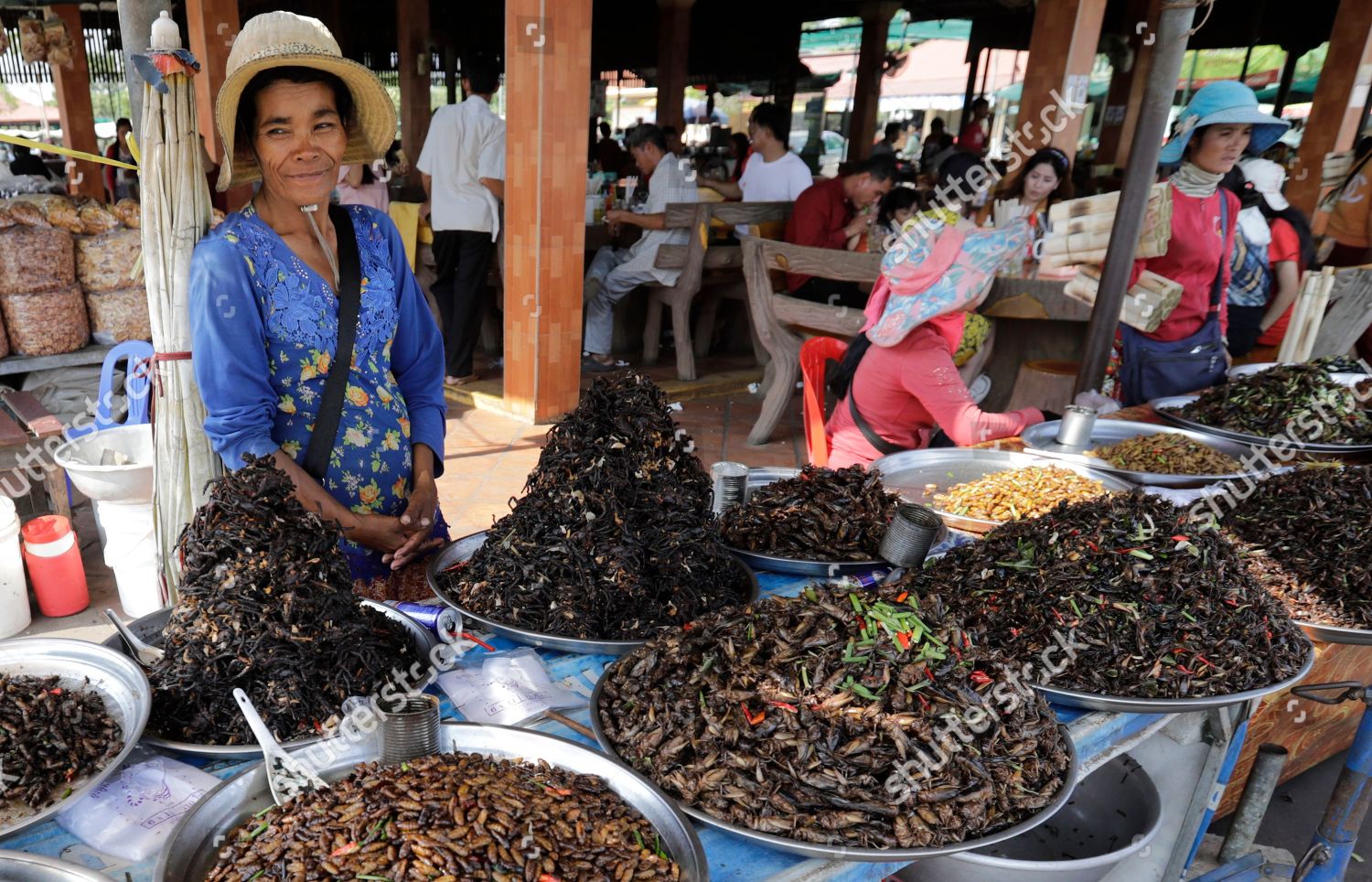 Cambodian Street Vendors Sell Deepfried Spiders Editorial Stock Photo ...