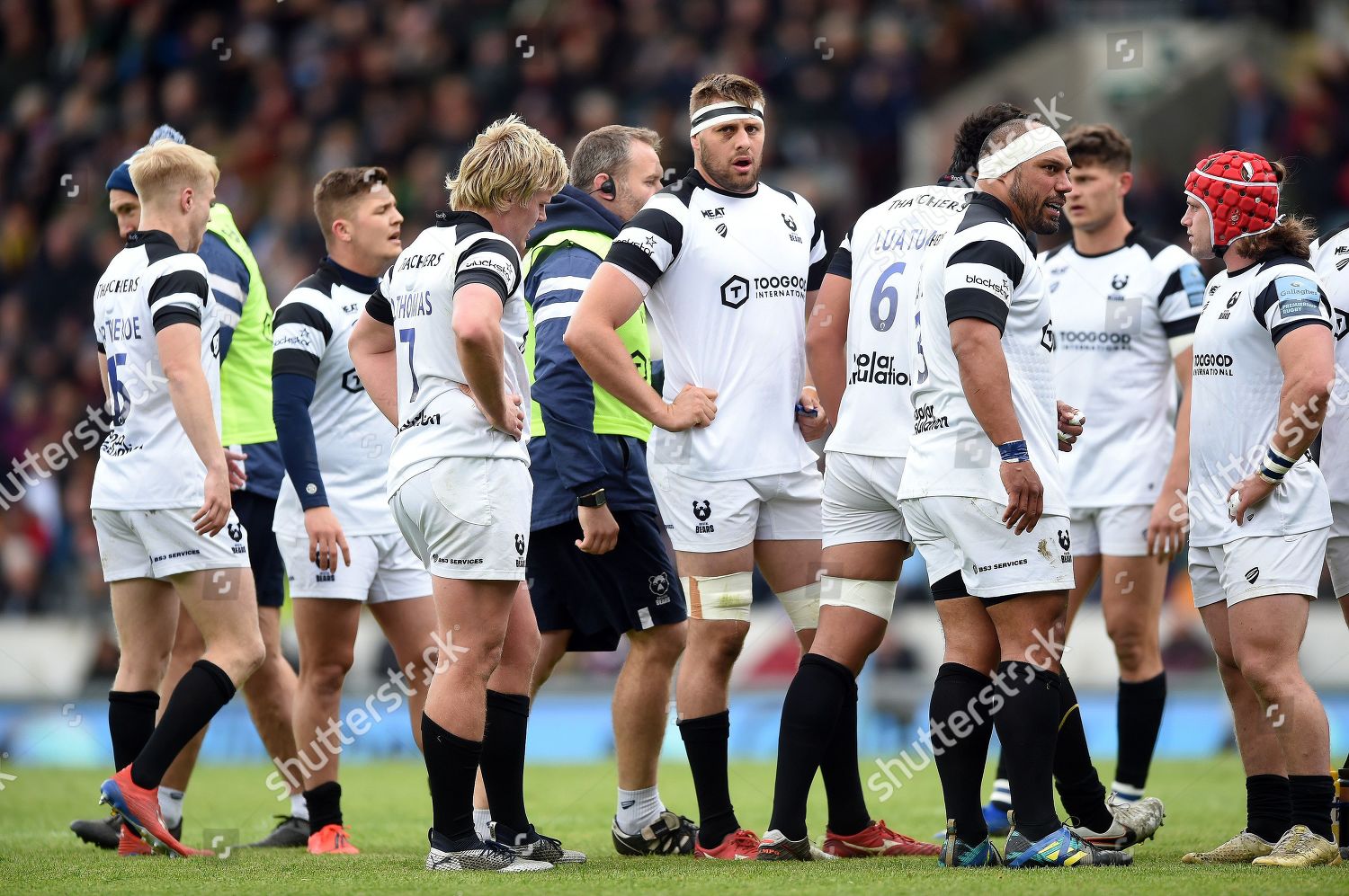 Nick Haining Bristol Bears Looks On Editorial Stock Photo - Stock Image ...