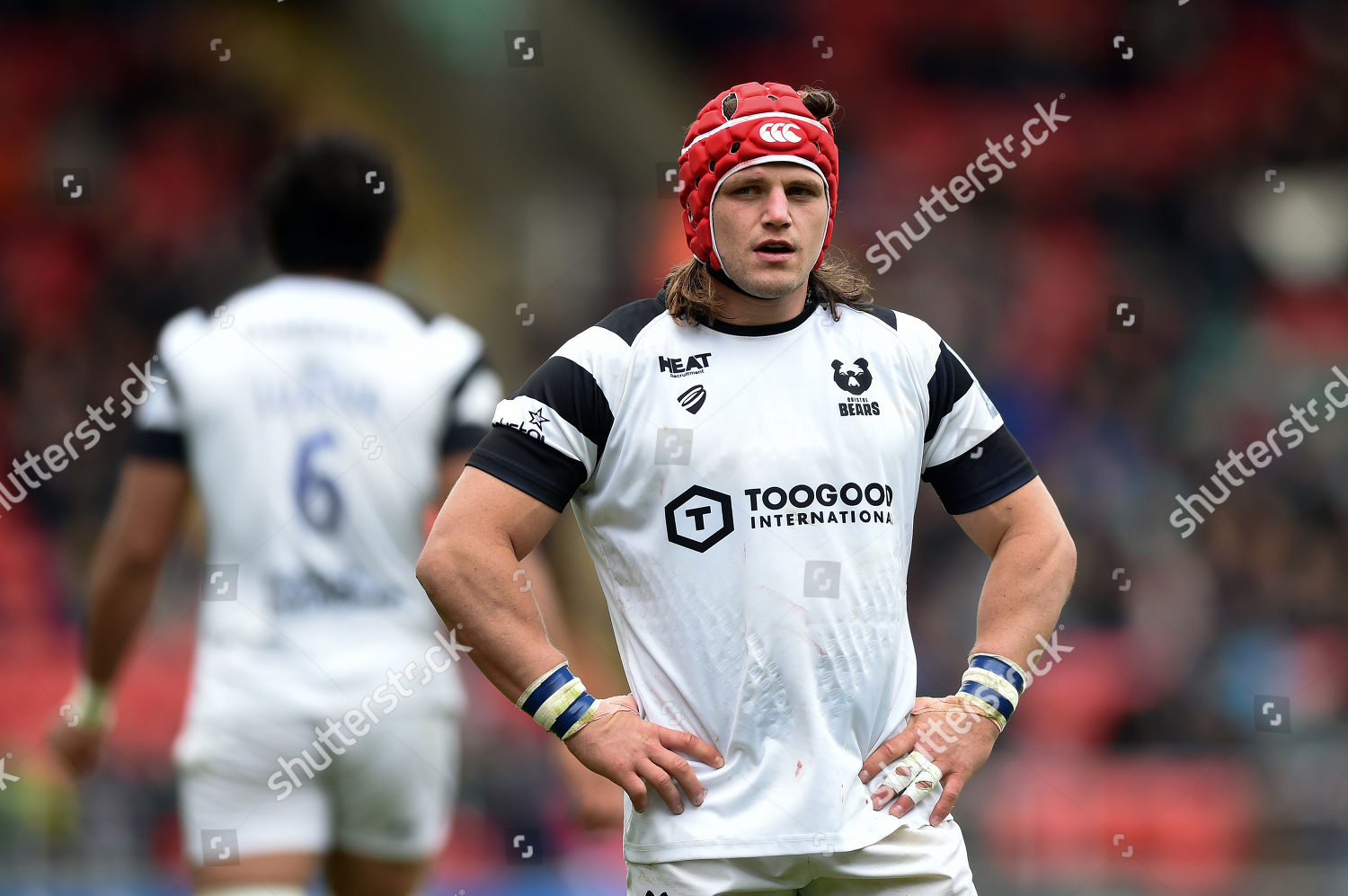 Harry Thacker Bristol Bears Editorial Stock Photo - Stock Image ...