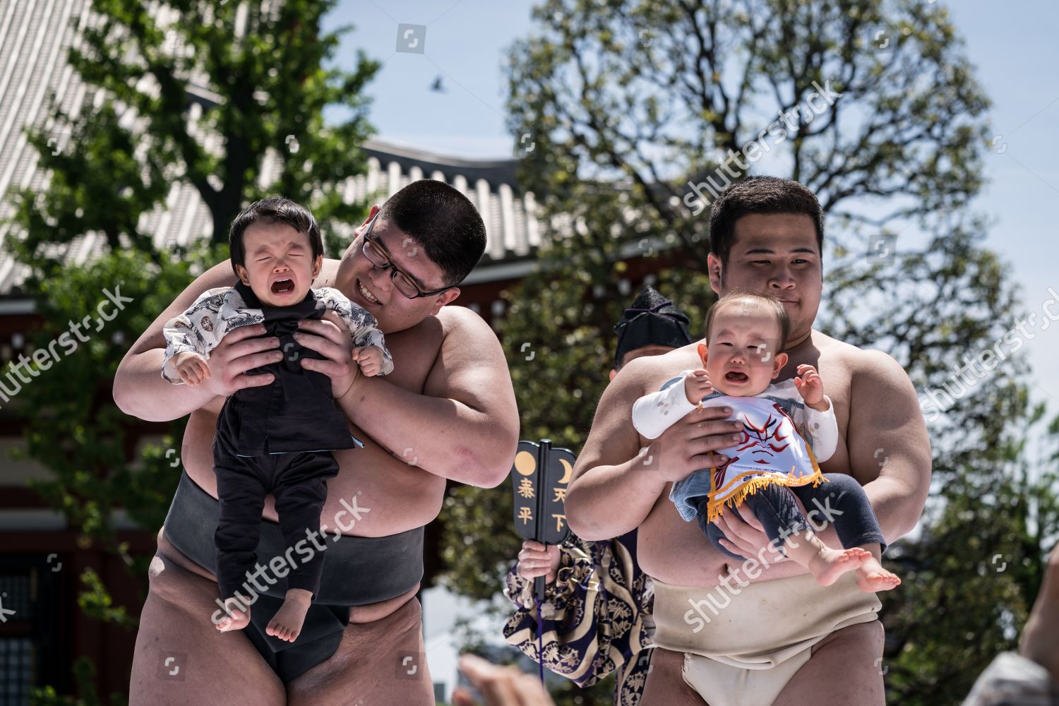 Babies Held By Amateur Sumo Wrestlers Editorial Stock Photo - Stock ...