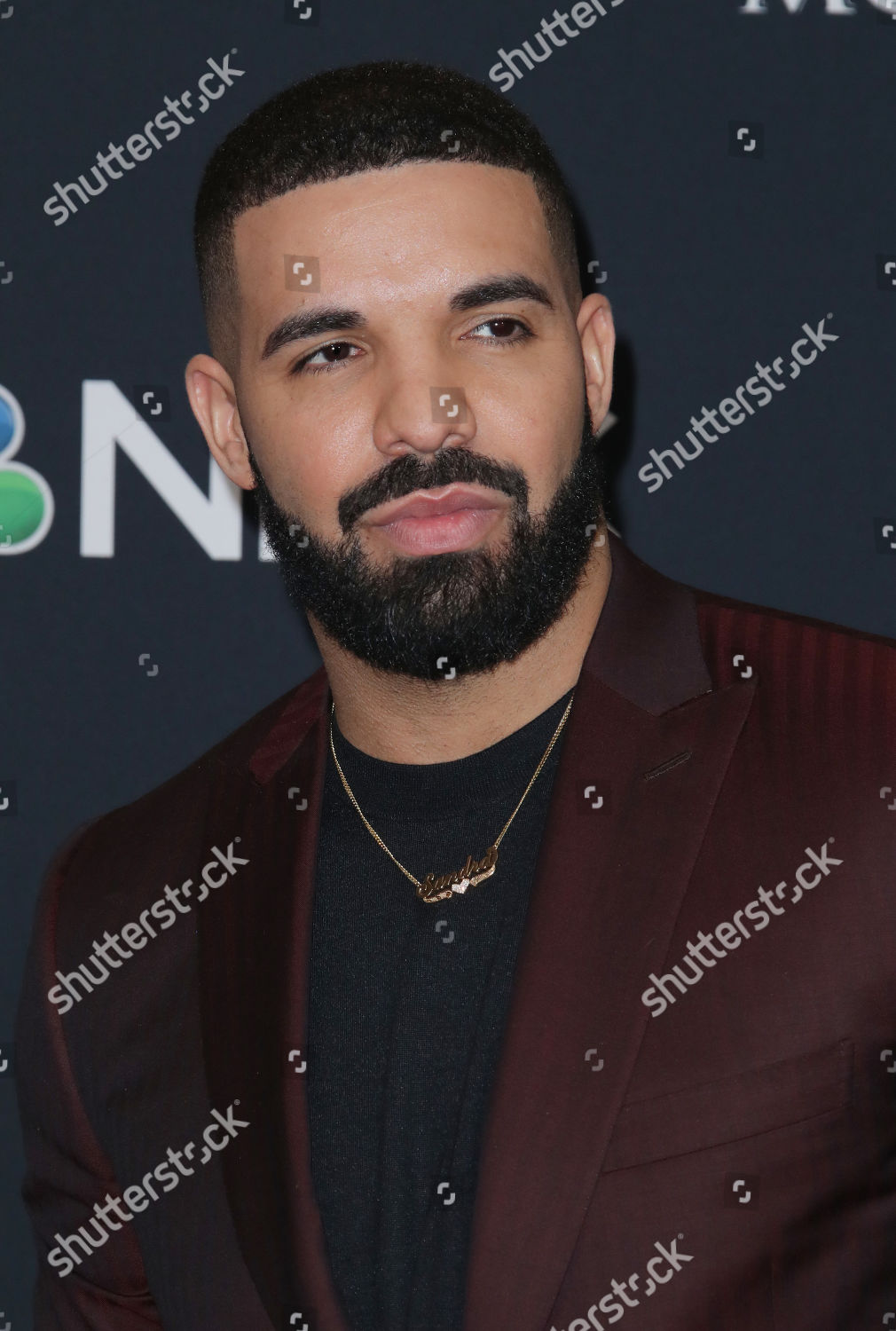 Drake Editorial Stock Photo - Stock Image | Shutterstock