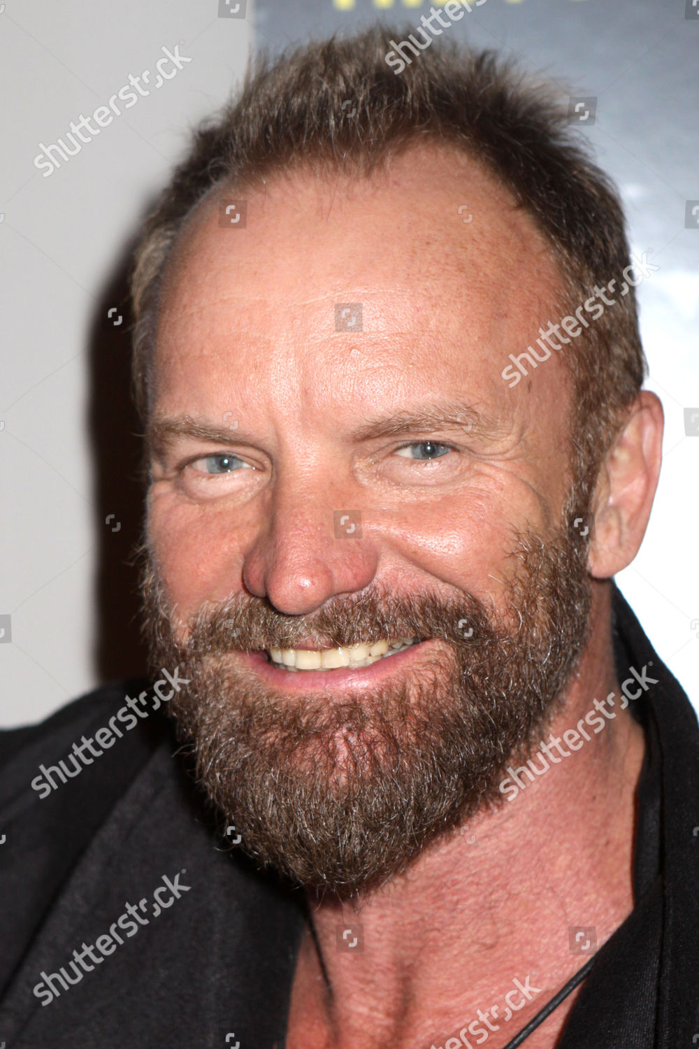Sting Editorial Stock Photo - Stock Image | Shutterstock