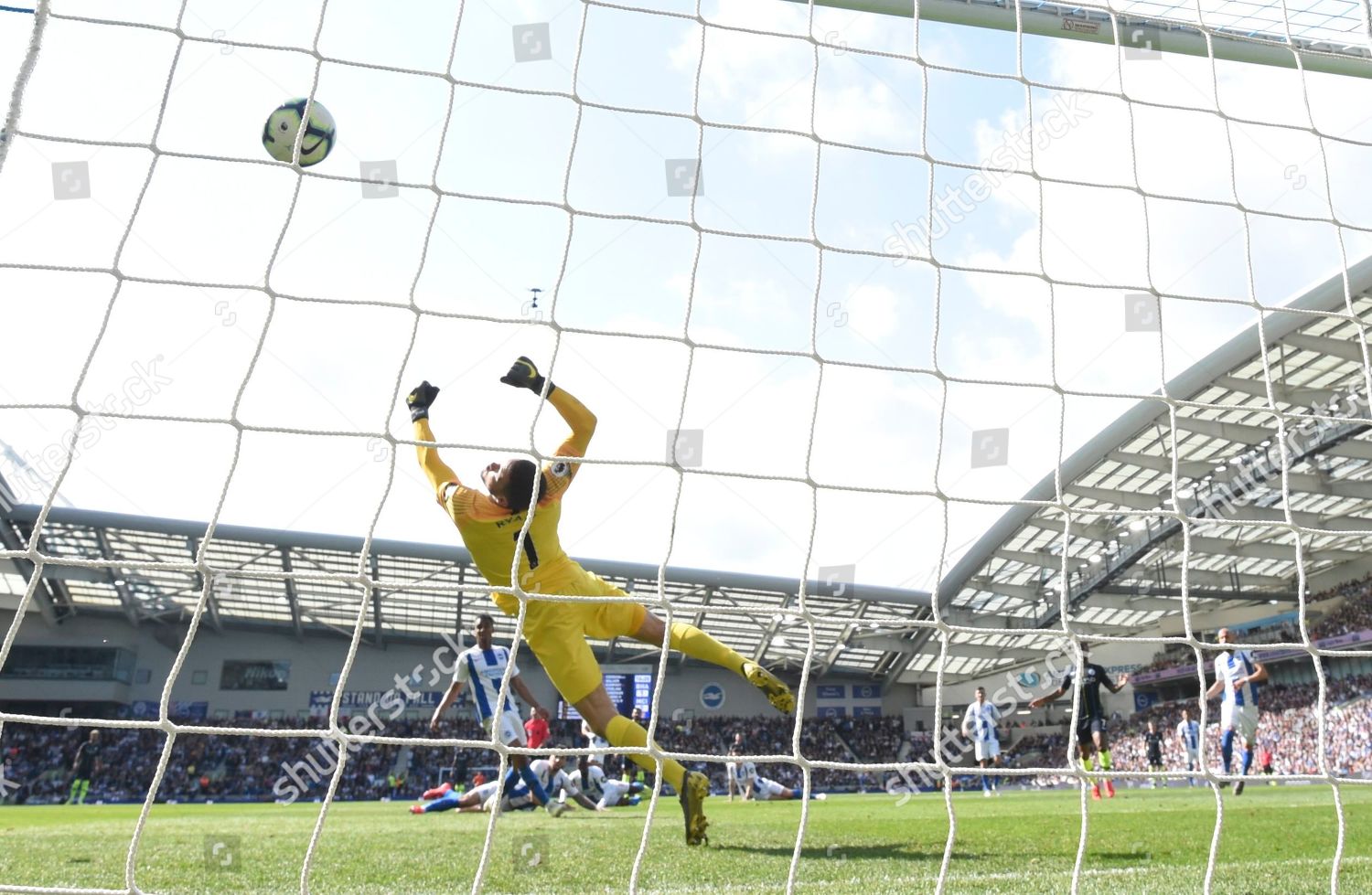 Goalkeeper Matthew Ryan Brighton Beaten By Editorial Stock Photo ...