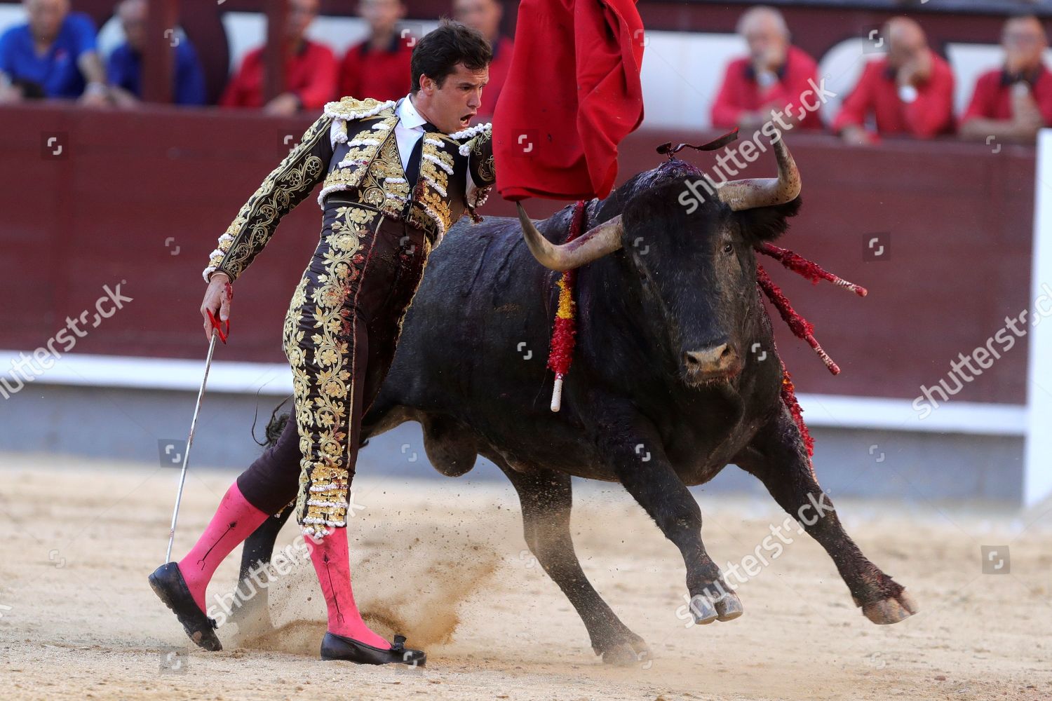 Bullfighter Octavio Chacon Fights Bull During Editorial Stock Photo ...