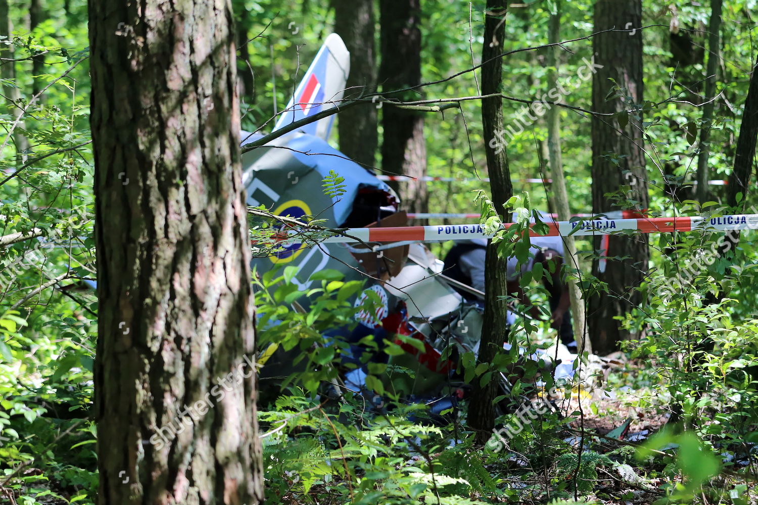 View On Site Plane Crash Forest Editorial Stock Photo - Stock Image ...