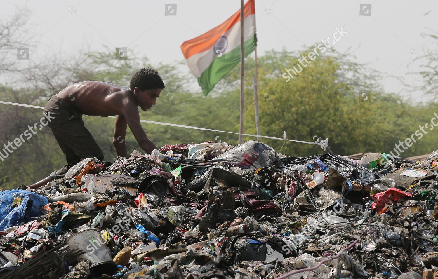 Indian Rag Picker Collects Reusable Items Editorial Stock Photo - Stock ...