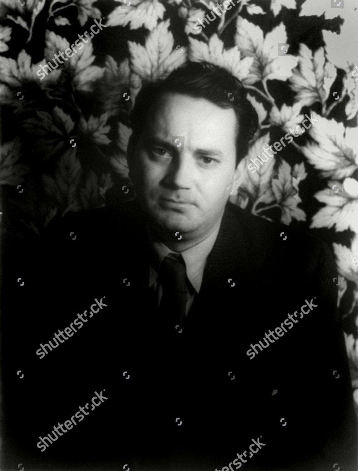 Thomas Wolfe 19001938 American Writer Photograph Editorial Stock Photo ...