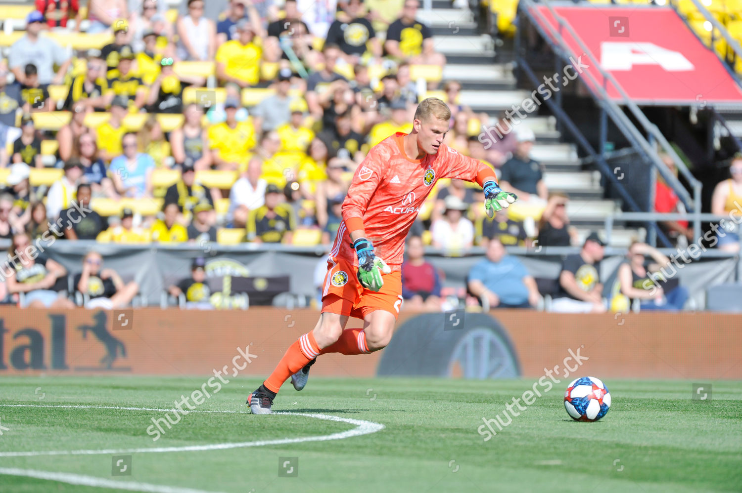 Columbus Crew Sc Goalkeeper Jon Kempin Editorial Stock Photo - Stock ...