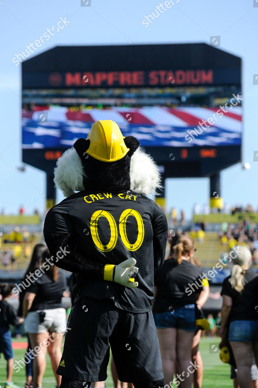 Crew Cat Looks On During Star Editorial Stock Photo - Stock Image ...