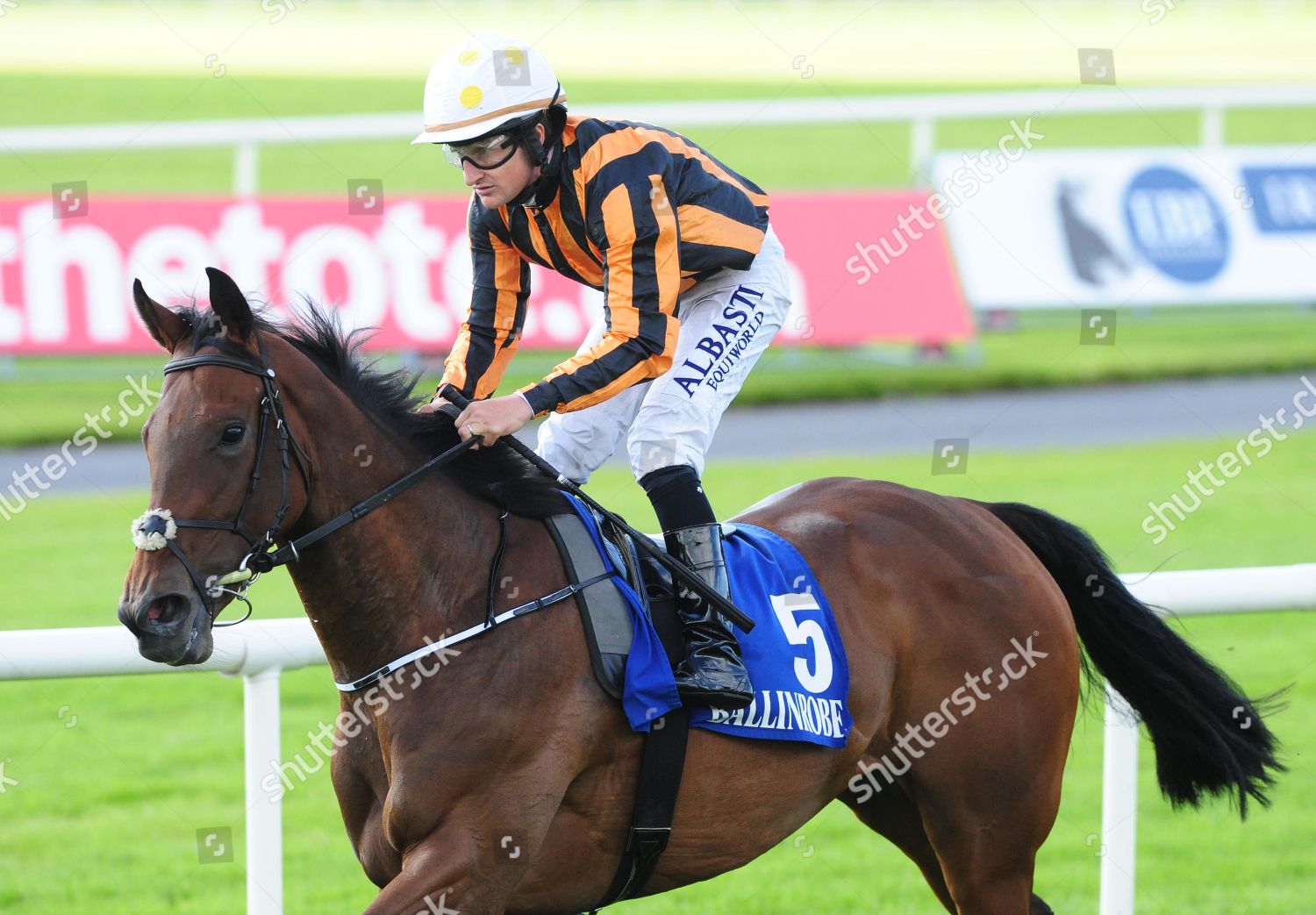 Ballinrobe Xcite Shane Foley Win Irish Editorial Stock Photo - Stock ...