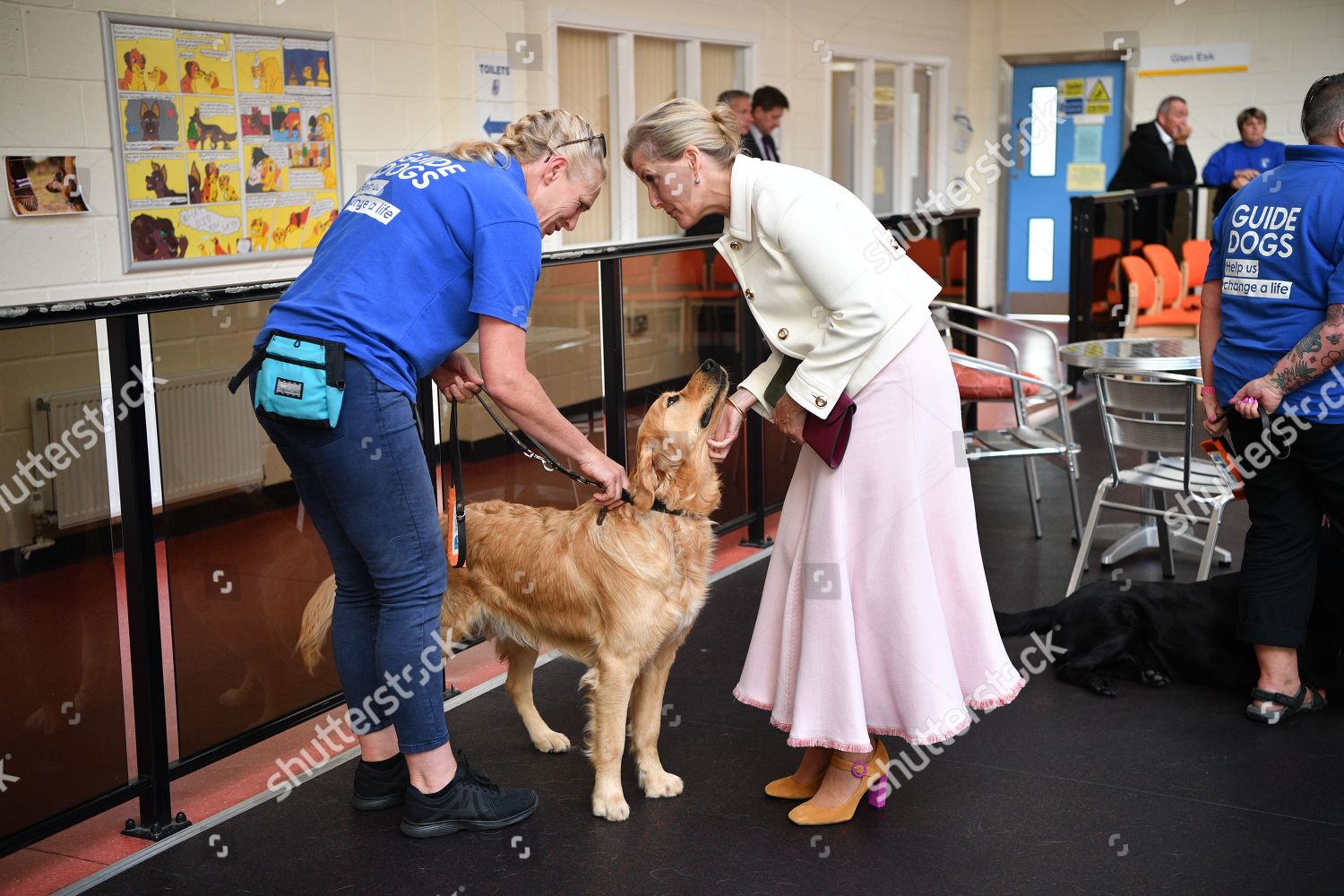 Sophie Countess Wessex Forfar Guide Dog Editorial Stock Photo - Stock ...