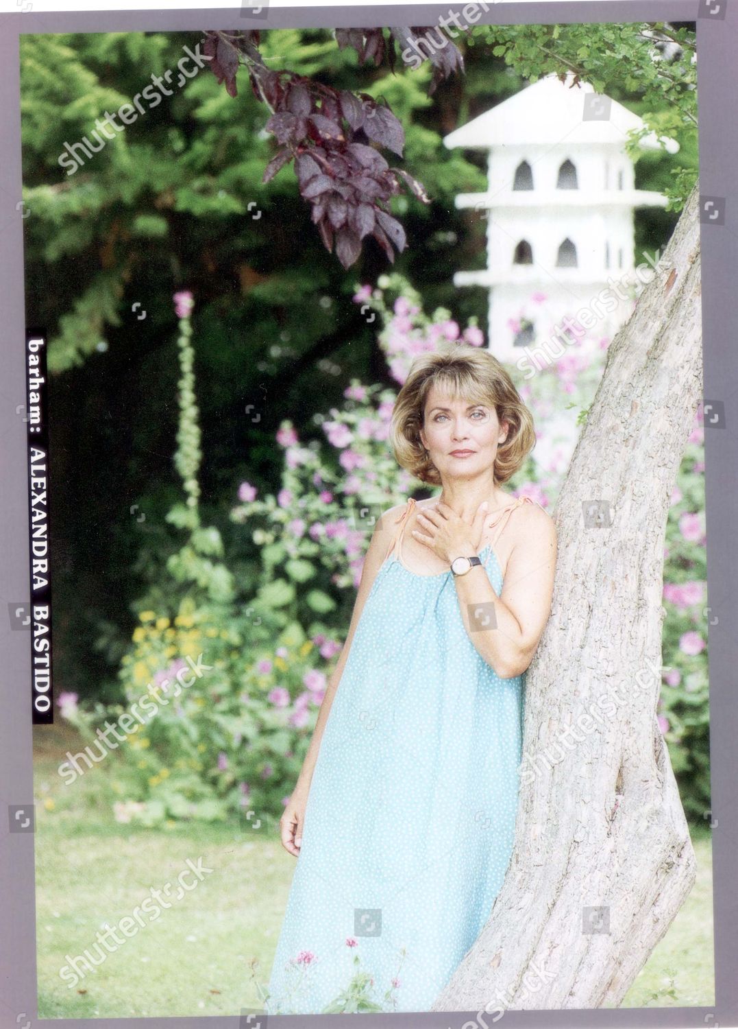 Alexandra Bastedo Actress 1995 Picture Desk Editorial Stock Photo ...