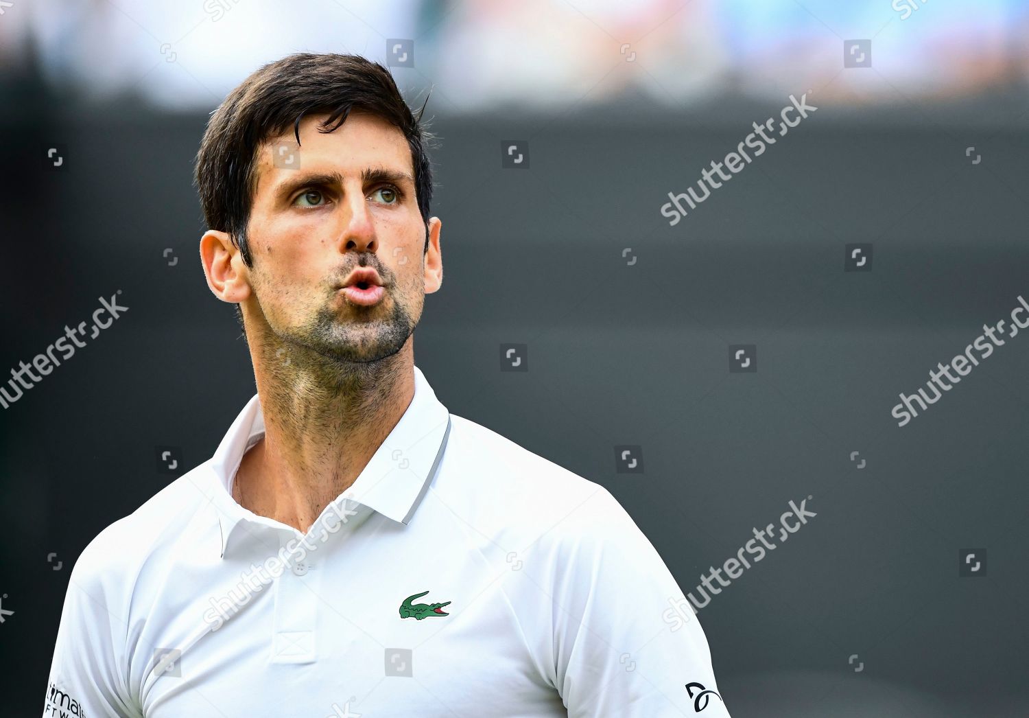 Novak Djokovic Celebrates Victory Blowing Kiss Editorial Stock Photo ...