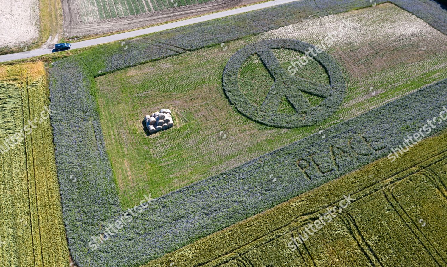 Peace Sign Cut On Field Scorpion Editorial Stock Photo - Stock Image ...