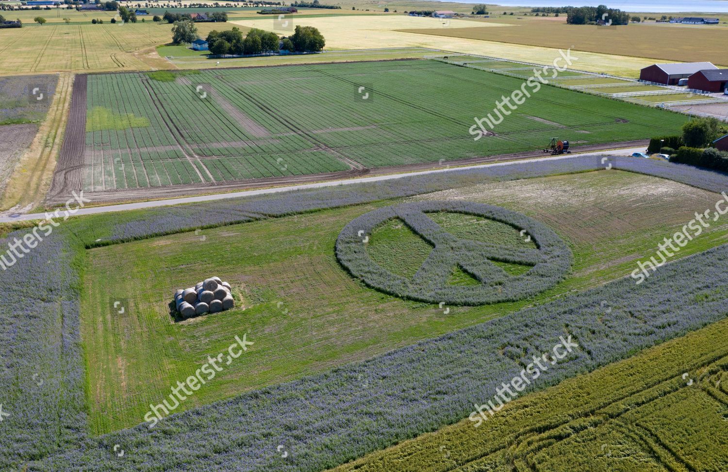 Peace Sign Cut On Field Scorpion Editorial Stock Photo - Stock Image ...