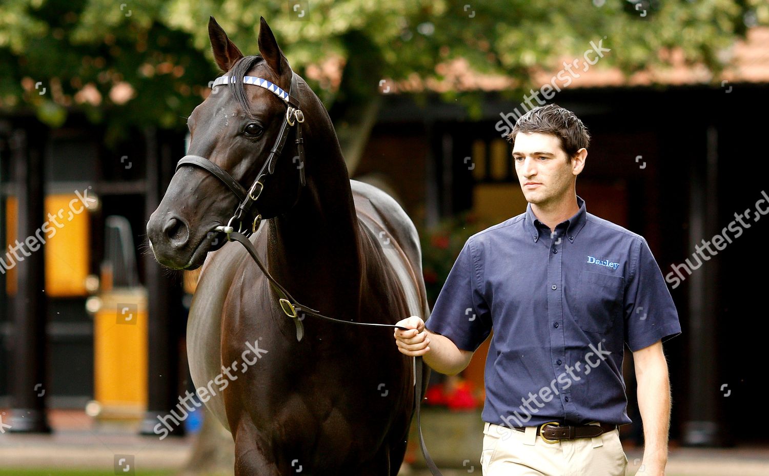 Cloth Stars Dalham Hall Stud Newmarket Editorial Stock Photo - Stock ...