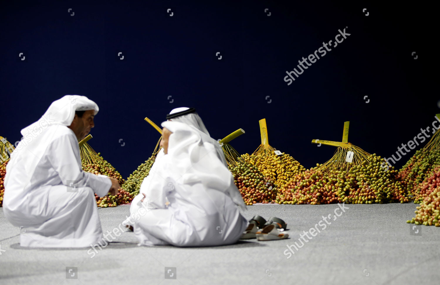 Uae Competition Judges Discuss About Heaviest Editorial Stock Photo ...