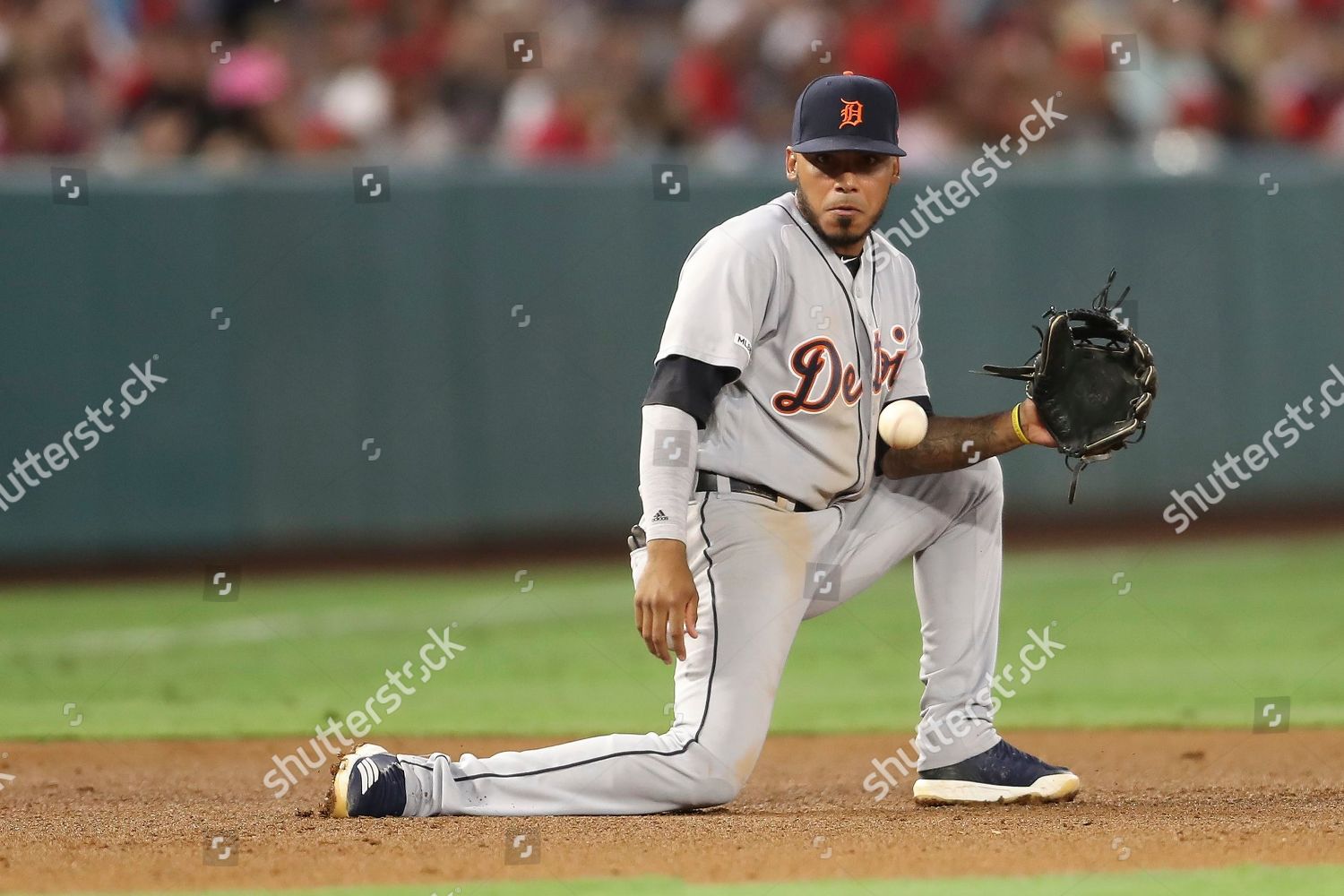 Detroit Tigers Second Baseman Harold Castro Editorial Stock Photo ...