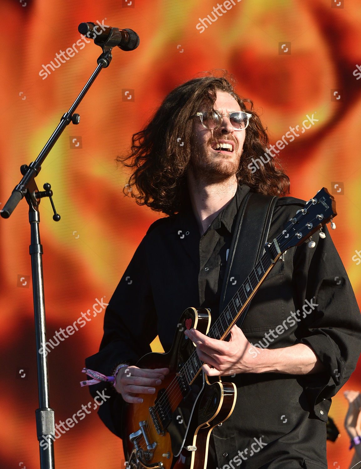 Hozier Editorial Stock Photo - Stock Image | Shutterstock