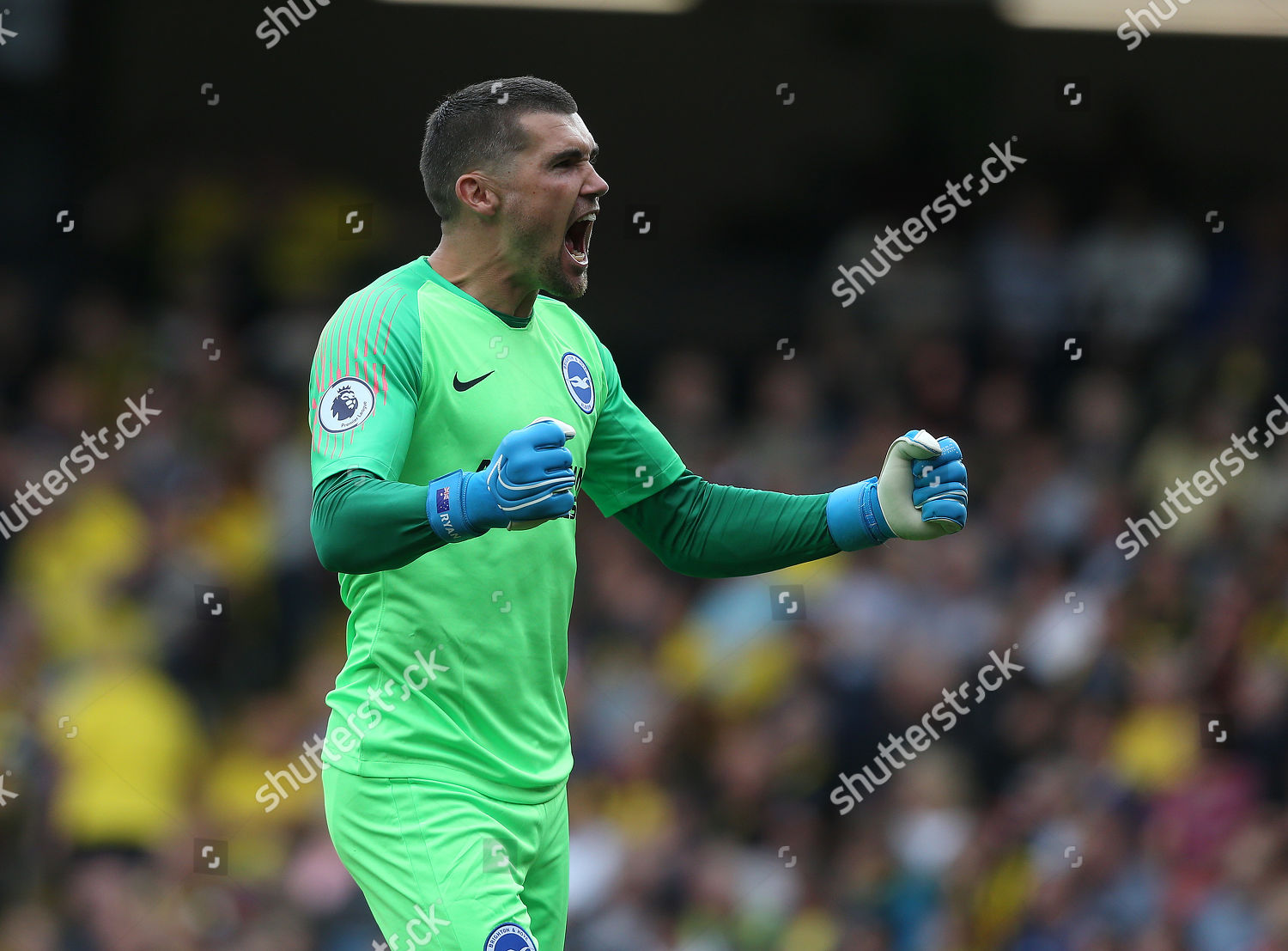 Goalkeeper Matthew Ryan Brighton Celebrates Second Editorial Stock ...
