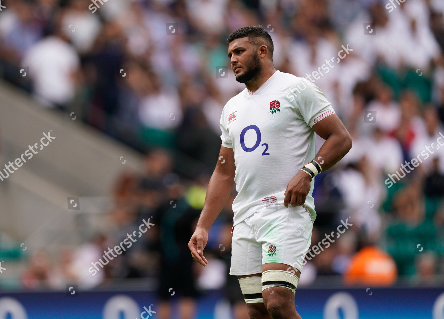 Lewis Ludlam England Editorial Stock Photo - Stock Image | Shutterstock