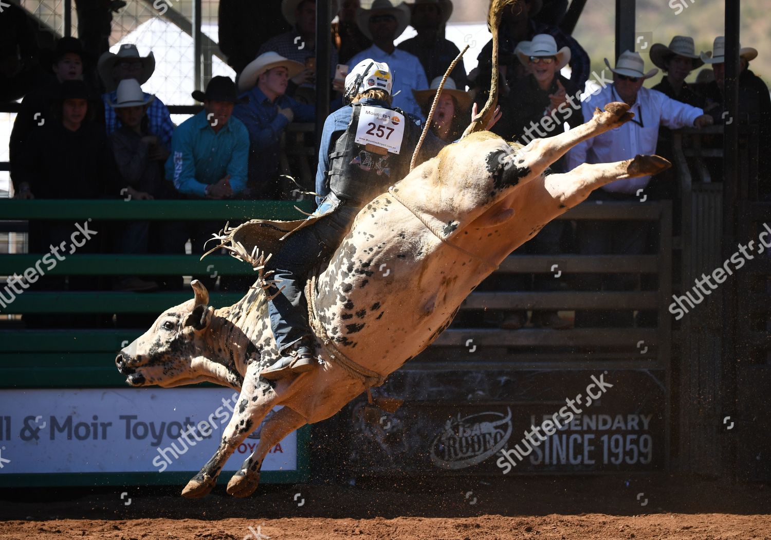 Aaron Kleier Competes Bull Ride Final Editorial Stock Photo - Stock ...