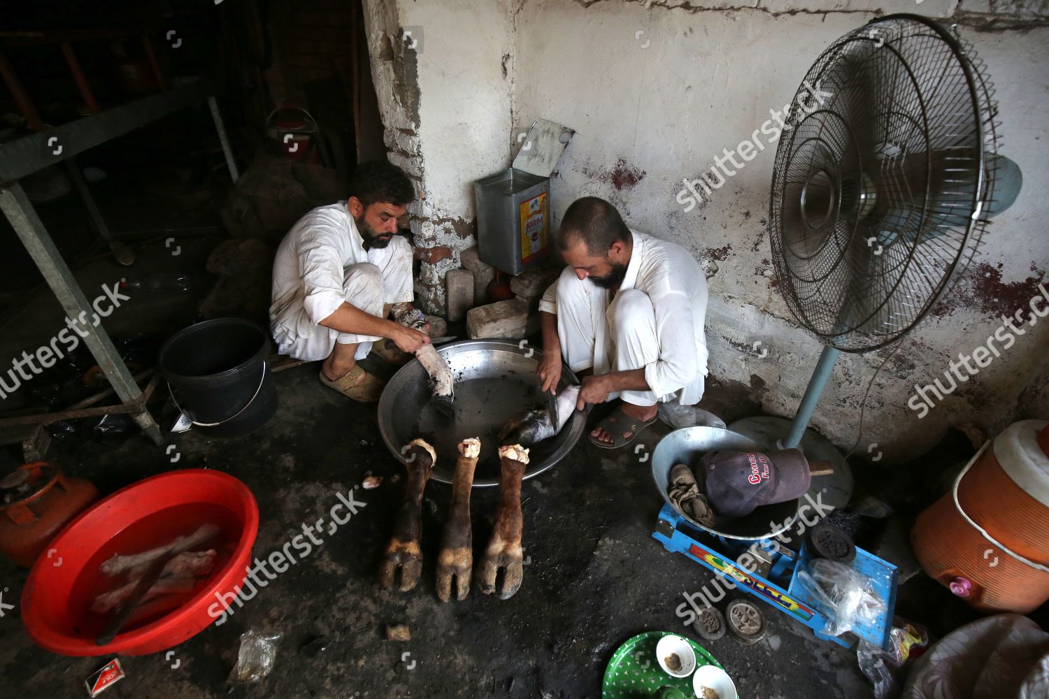 Pakistani Men Preparing Sacrificial Animals Legs Editorial Stock Photo ...