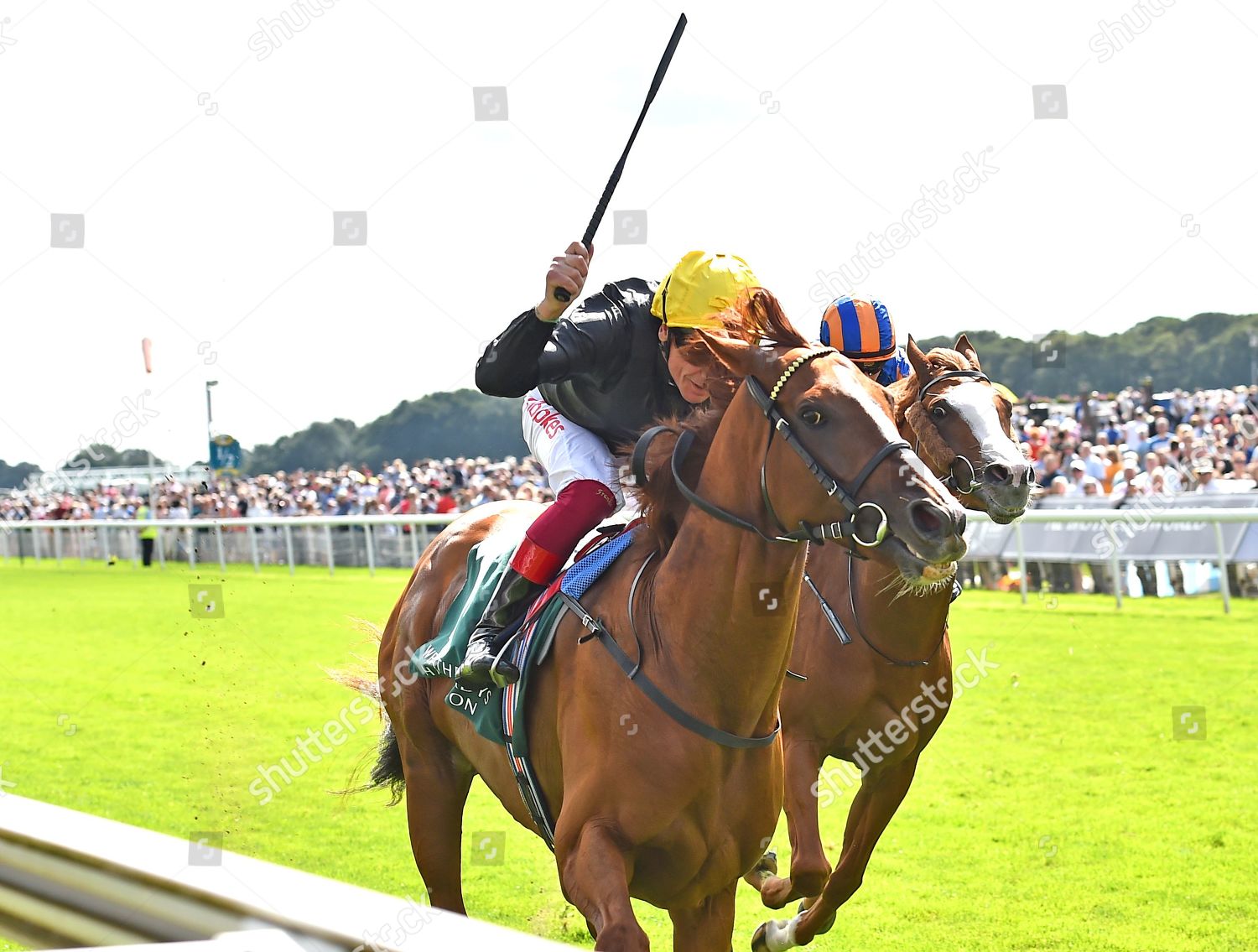Stradivarius Frankie Dettori Wins Weatherbys Hamilton Editorial Stock ...