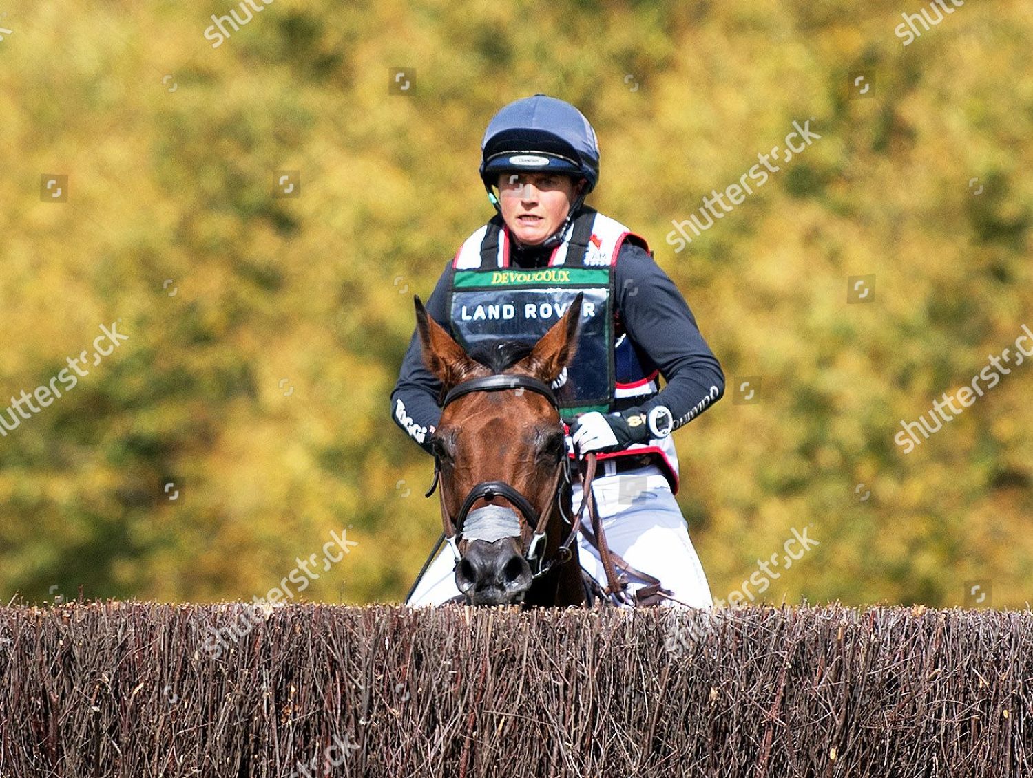 Piggy French Riding Vanir Kamira Editorial Stock Photo - Stock Image ...