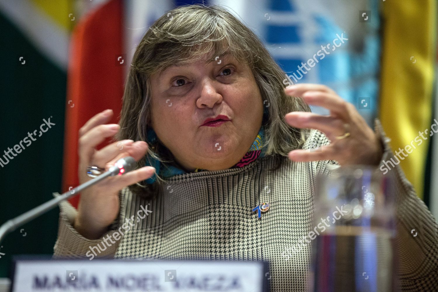 Un Women Director Americas Caribbean Maria Editorial Stock Photo ...