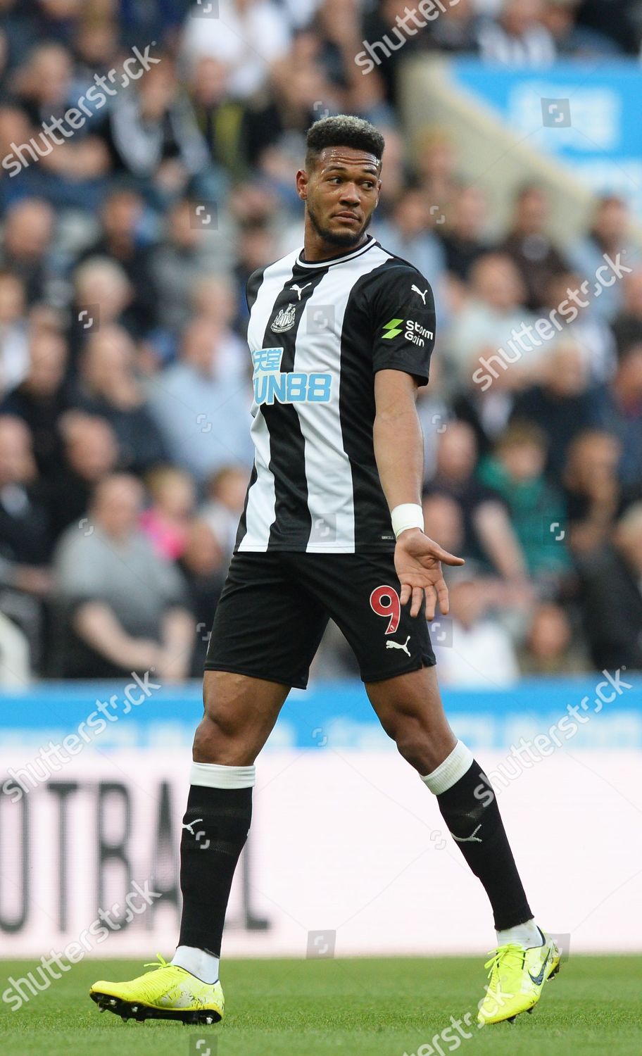 Joelinton Newcastle United Editorial Stock Photo - Stock Image ...